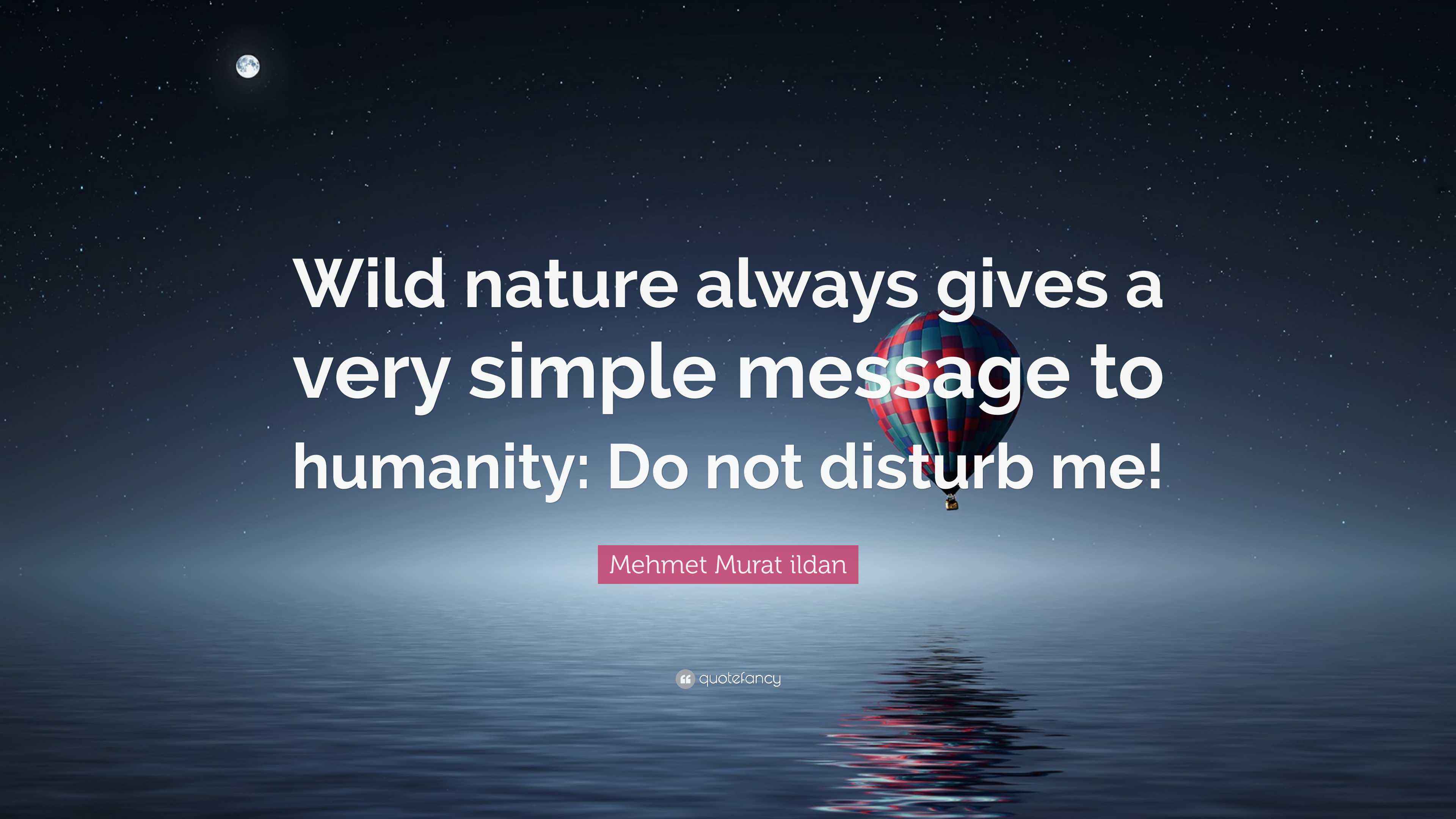 Mehmet Murat ildan Quote: “Wild nature always gives a very simple ...