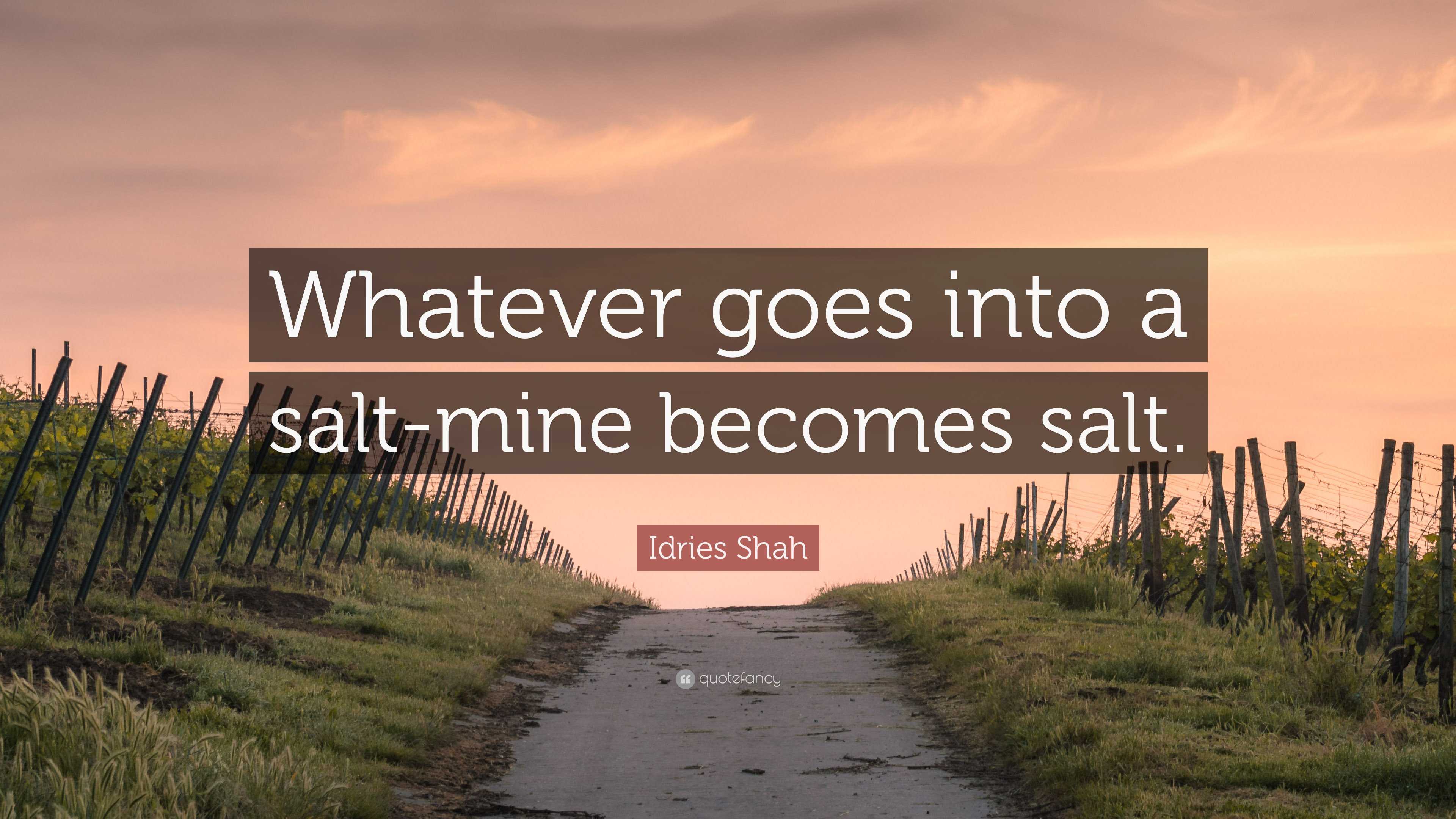 Idries Shah Quote: “Whatever goes into a salt-mine becomes salt.”