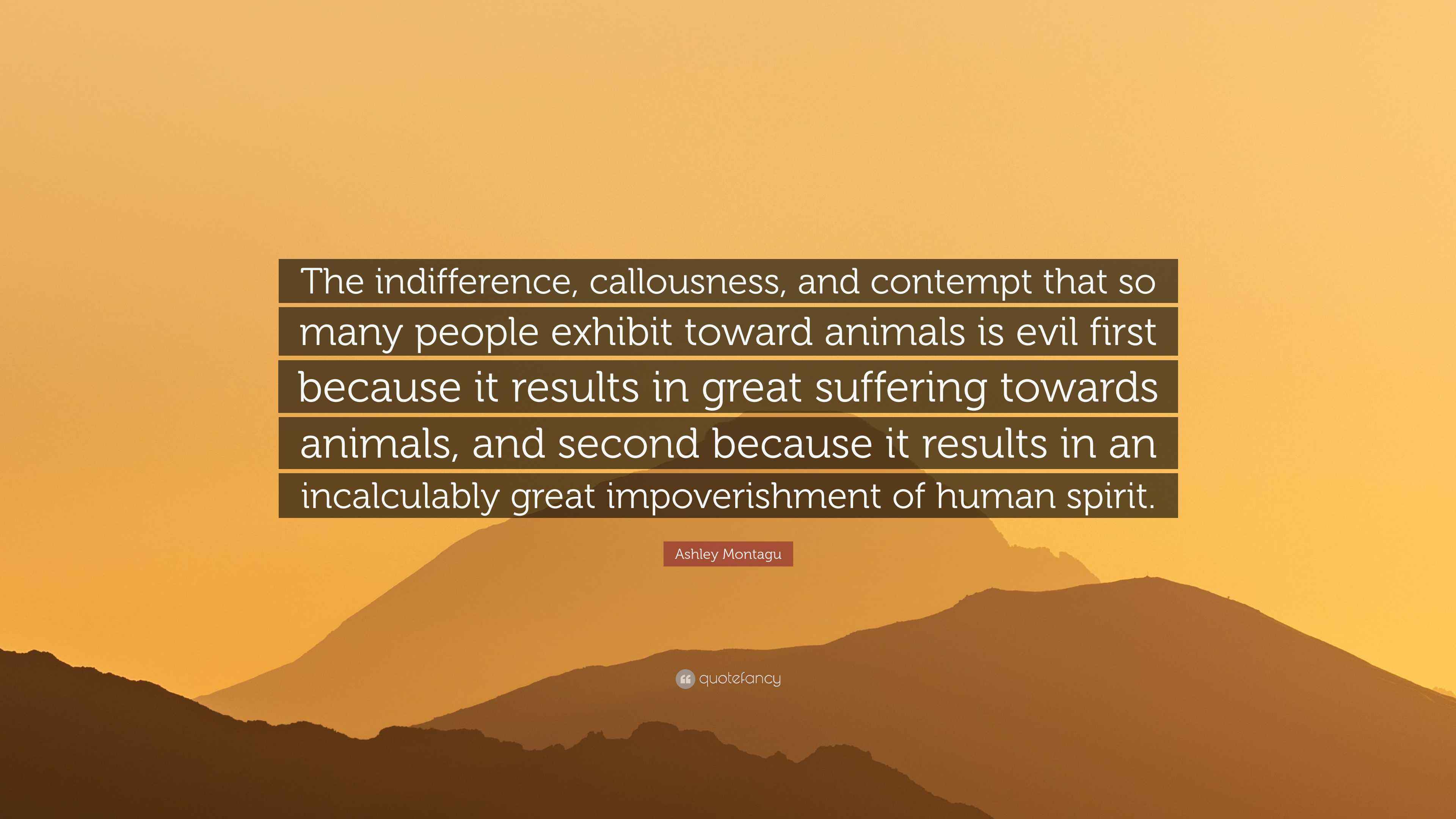 Ashley Montagu Quote: “The indifference, callousness, and contempt that ...