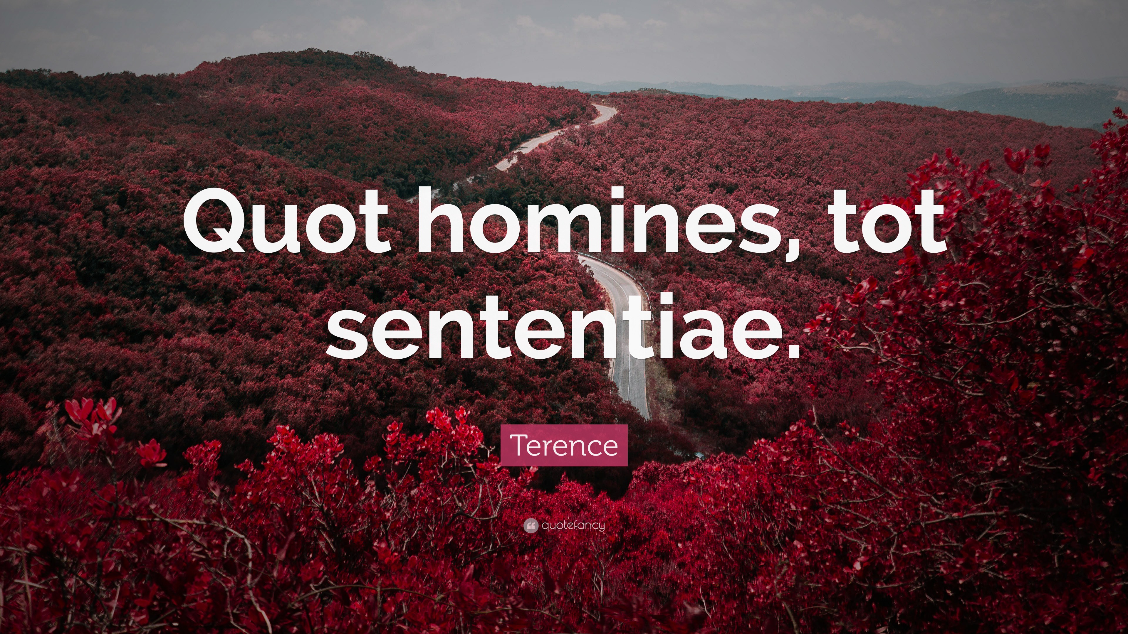 Terence Quote: “Quot homines, tot sententiae.”