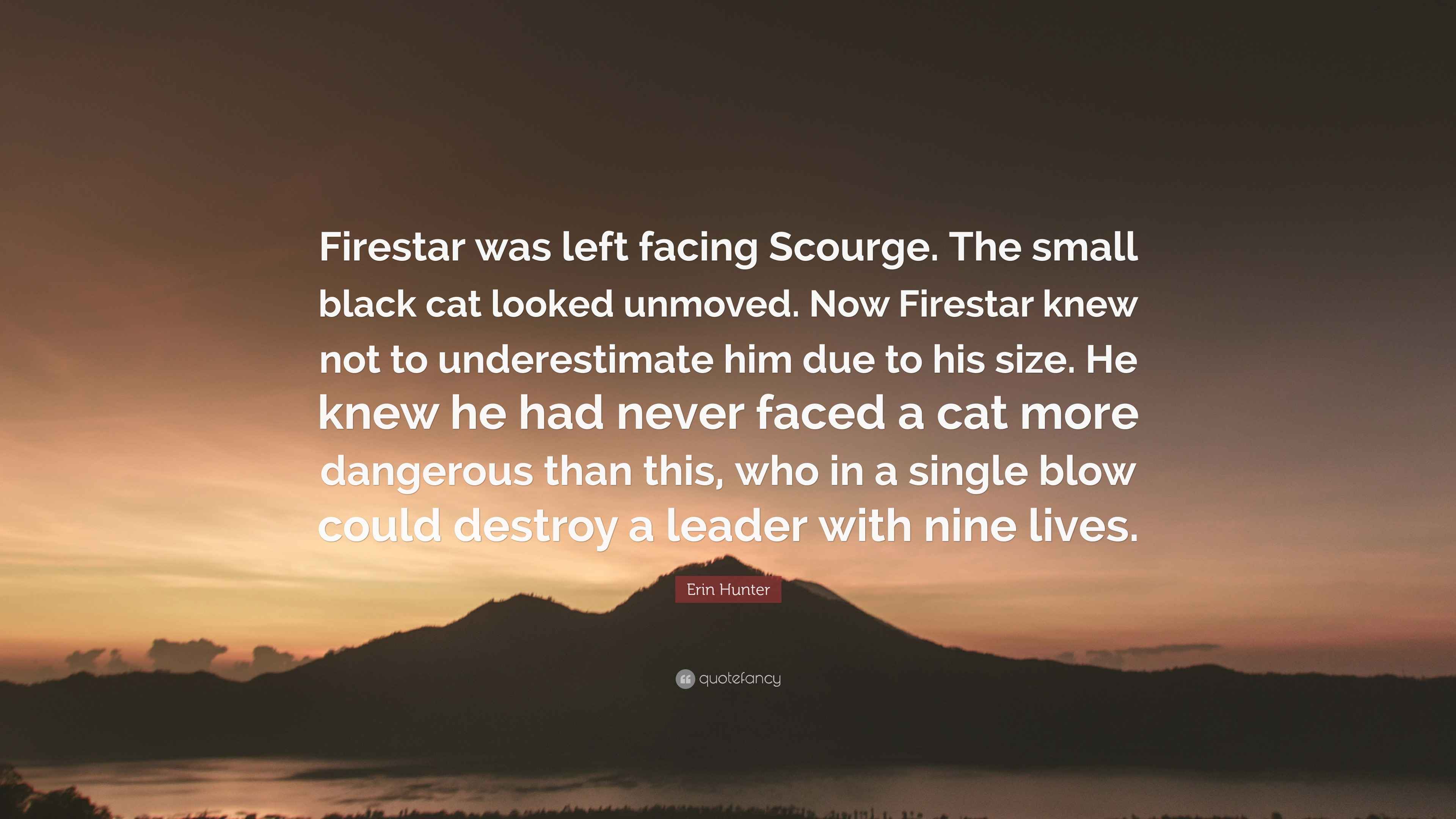 Erin Hunter Quote: “Firestar was left facing Scourge. The small black ...