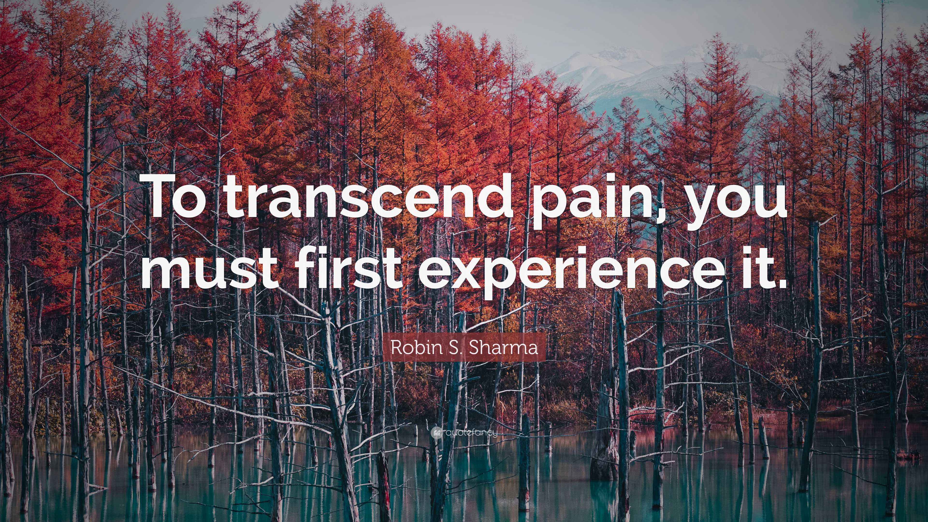 Robin S. Sharma Quote: “To transcend pain, you must first experience it.”