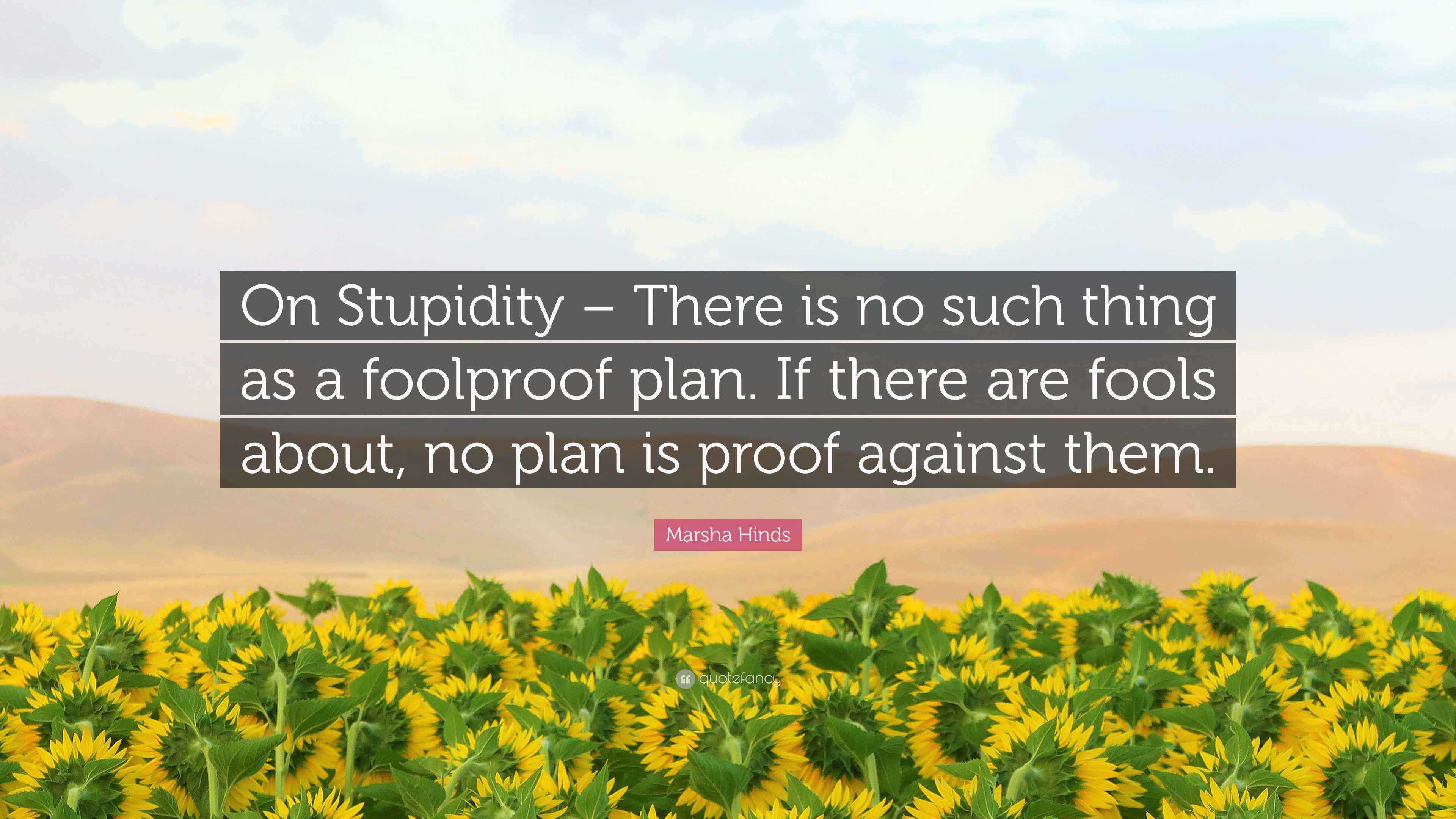 Marsha Hinds Quote: “On Stupidity – There is no such thing as a ...