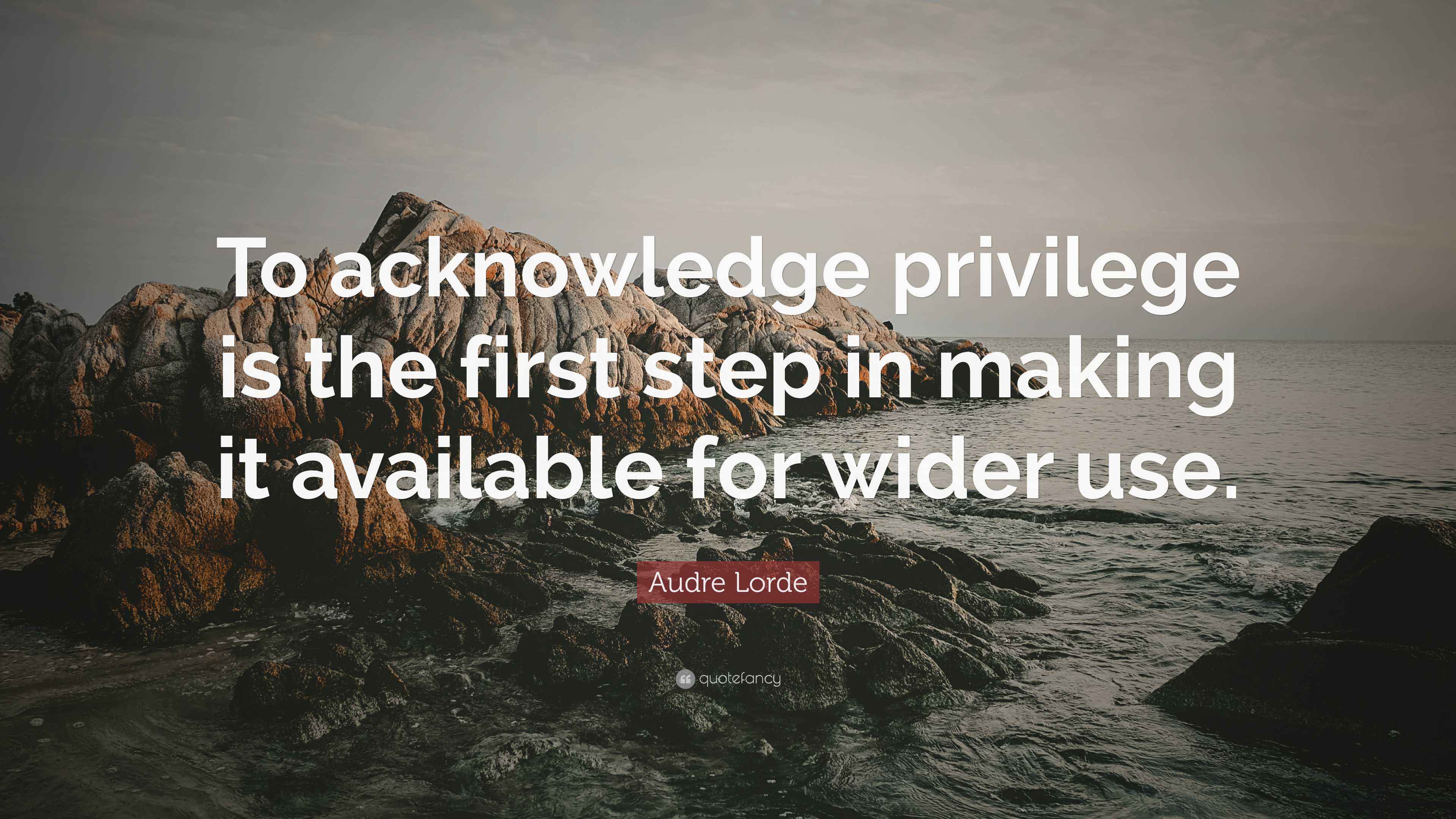 Audre Lorde Quote: “To acknowledge privilege is the first step in ...