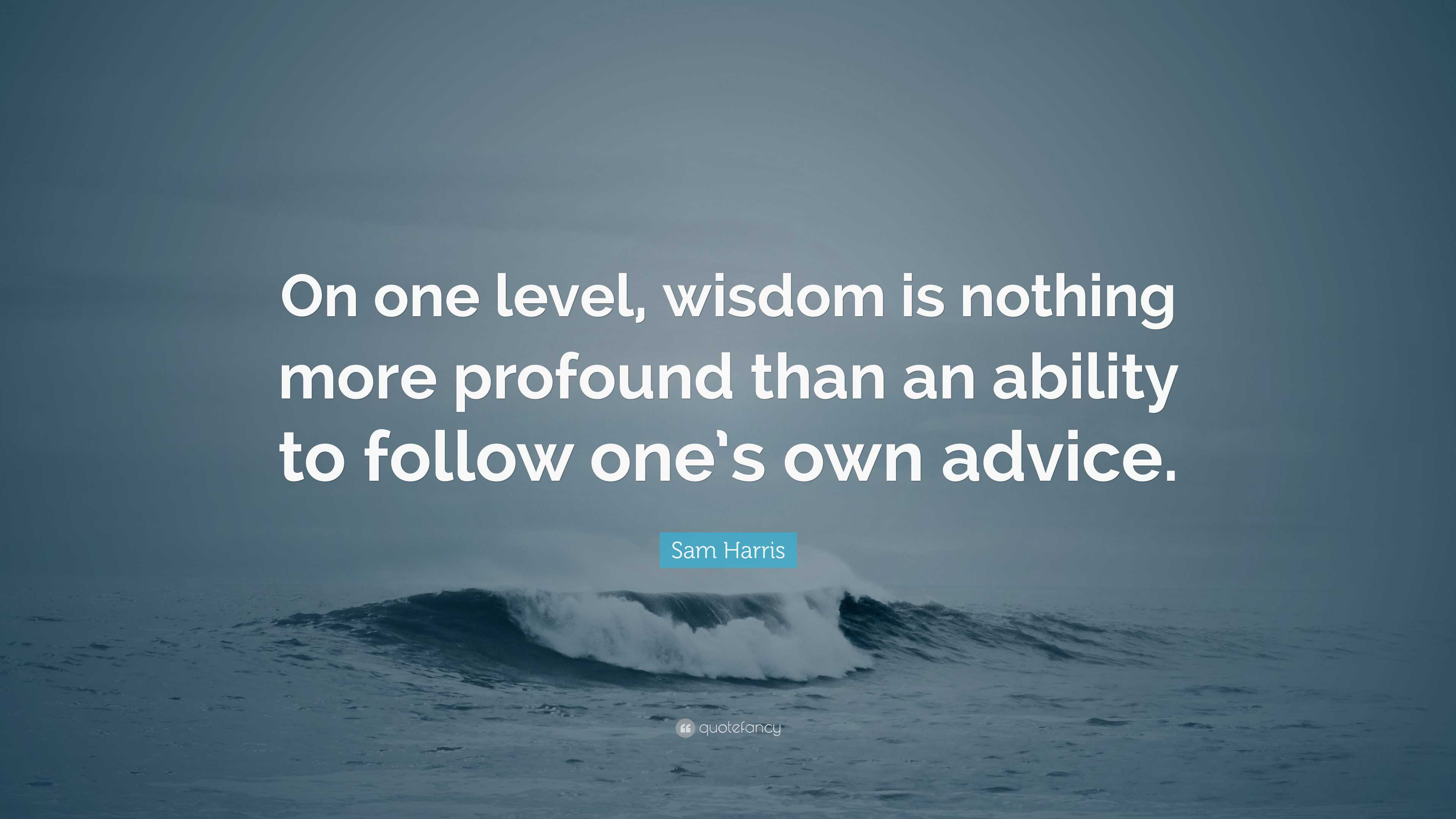 Sam Harris Quote: “On one level, wisdom is nothing more profound than ...