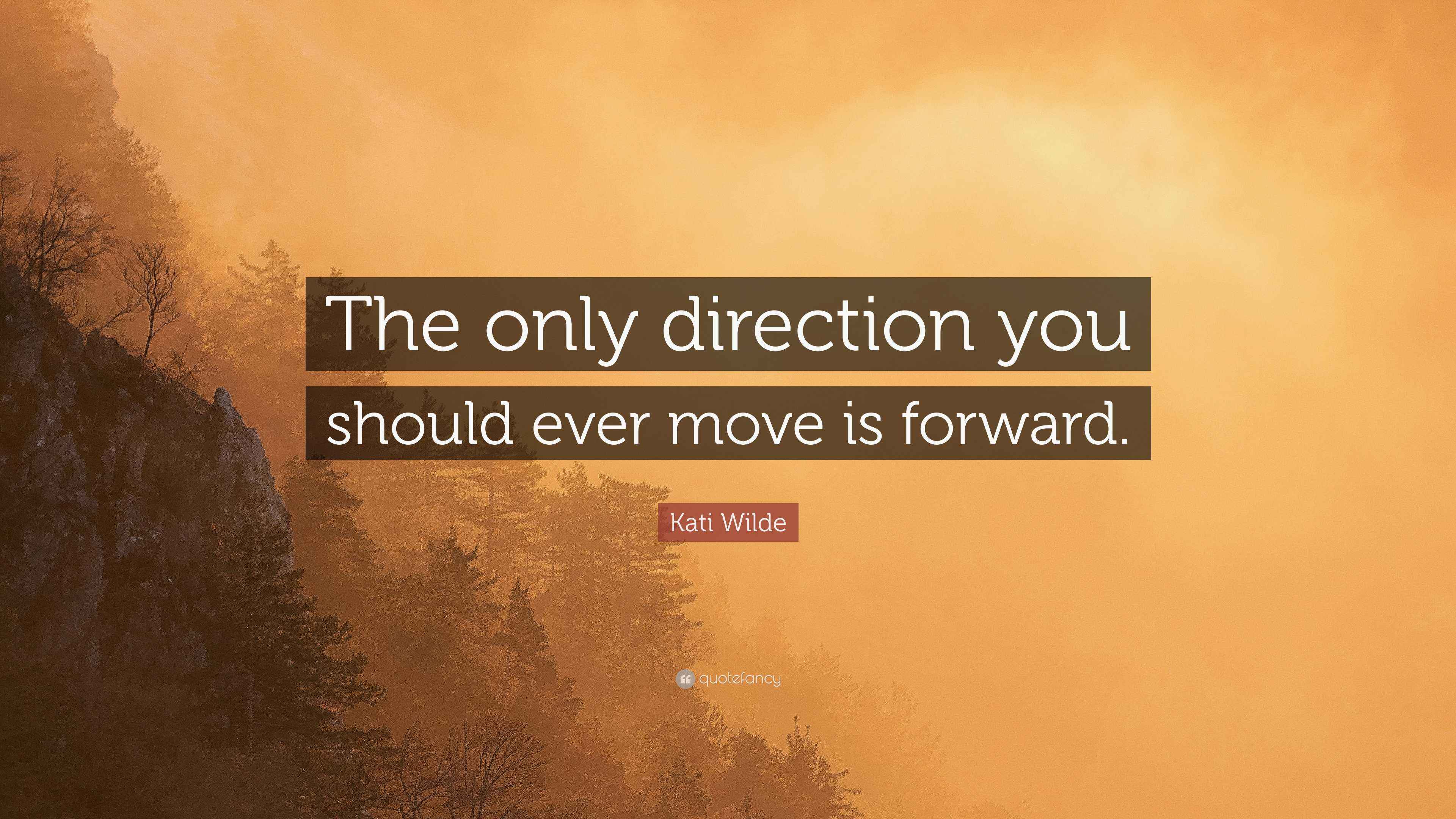 Kati Wilde Quote: “The only direction you should ever move is forward.”