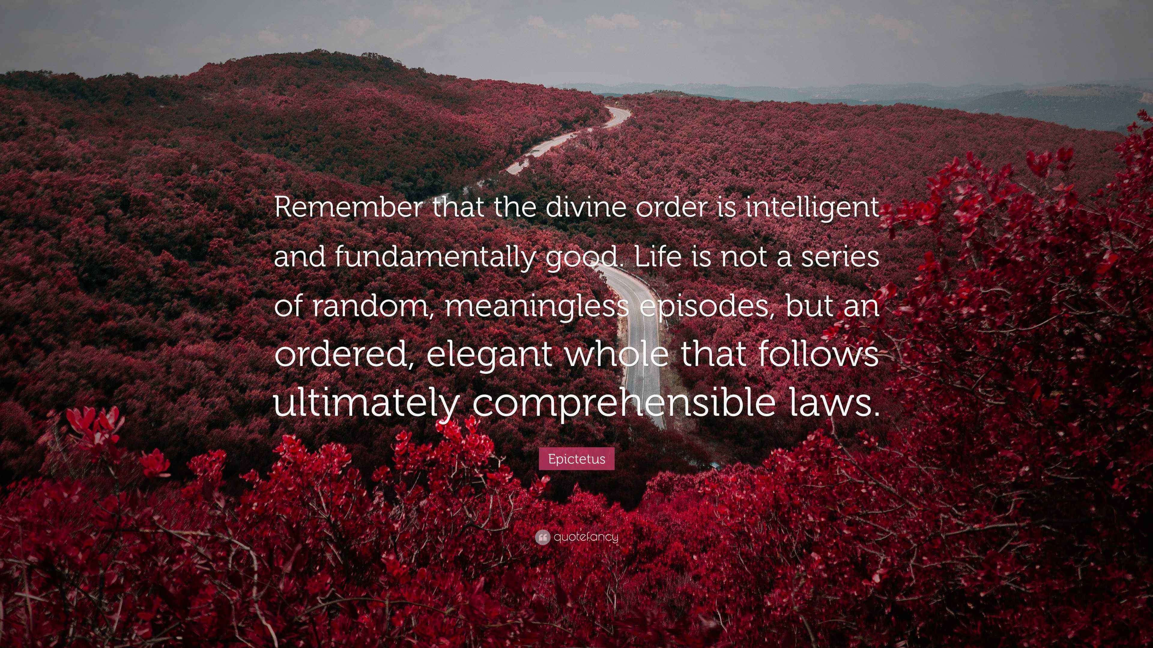 Epictetus Quote: “Remember that the divine order is intelligent and ...