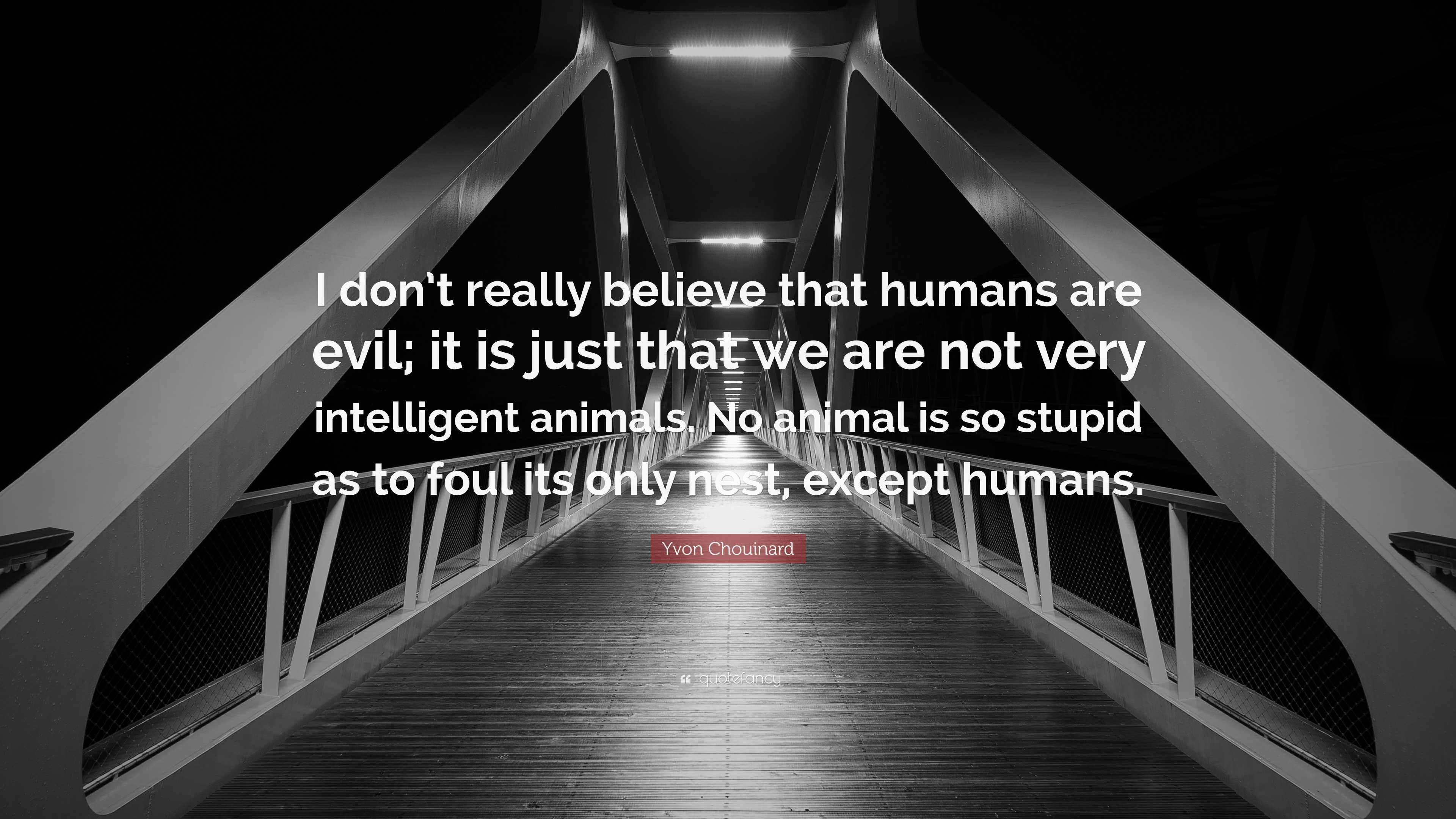 Yvon Chouinard Quote: “I don’t really believe that humans are evil; it ...