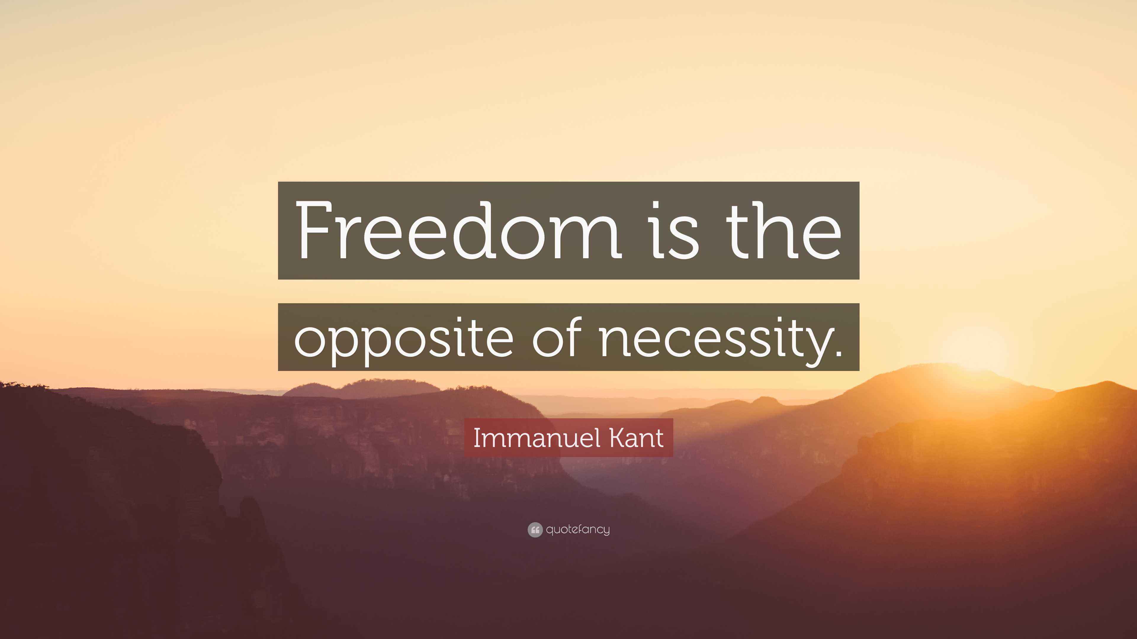 Immanuel Kant Quote: “Freedom is the opposite of necessity.”