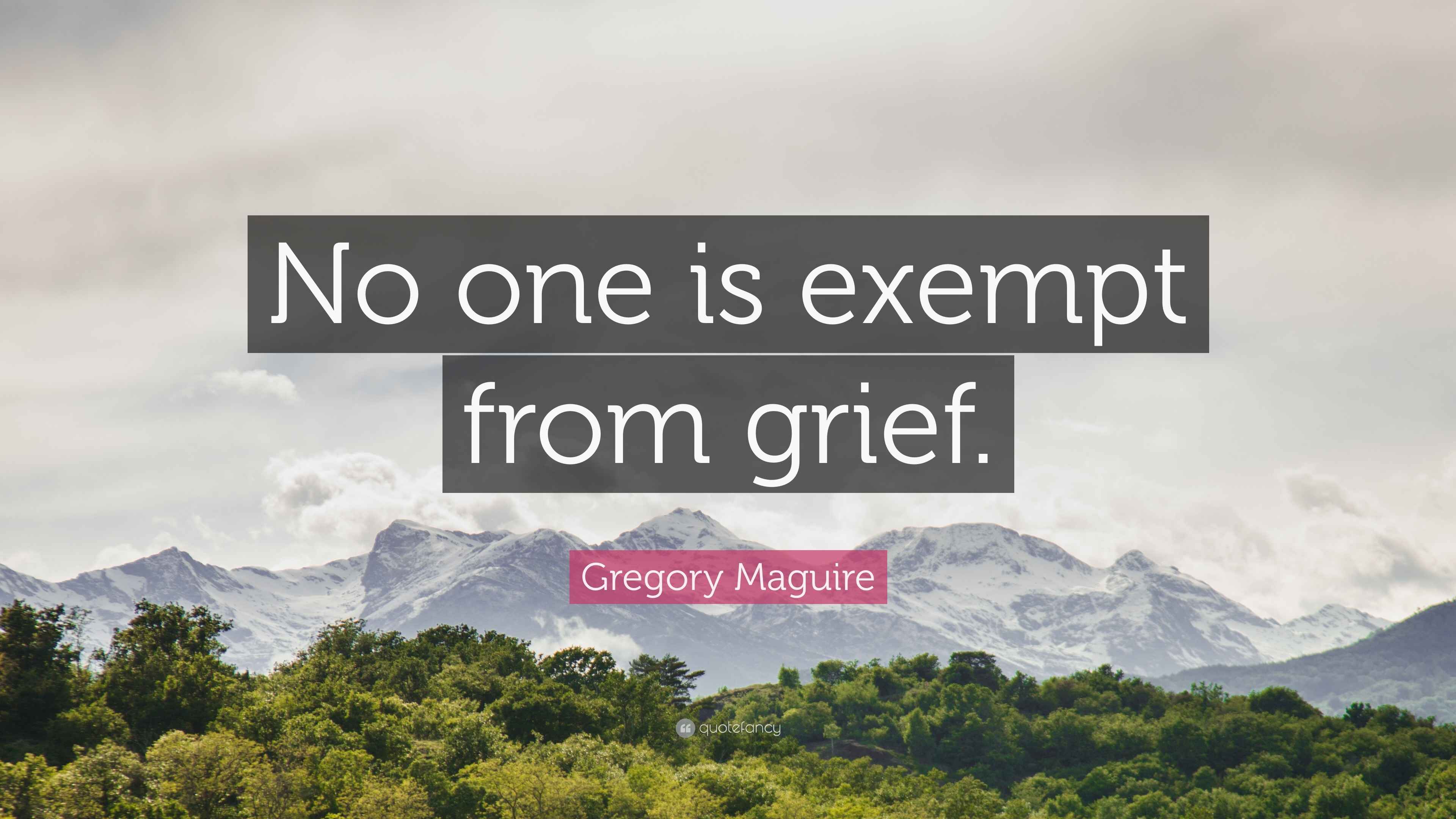 Gregory Maguire Quote: “No one is exempt from grief.”