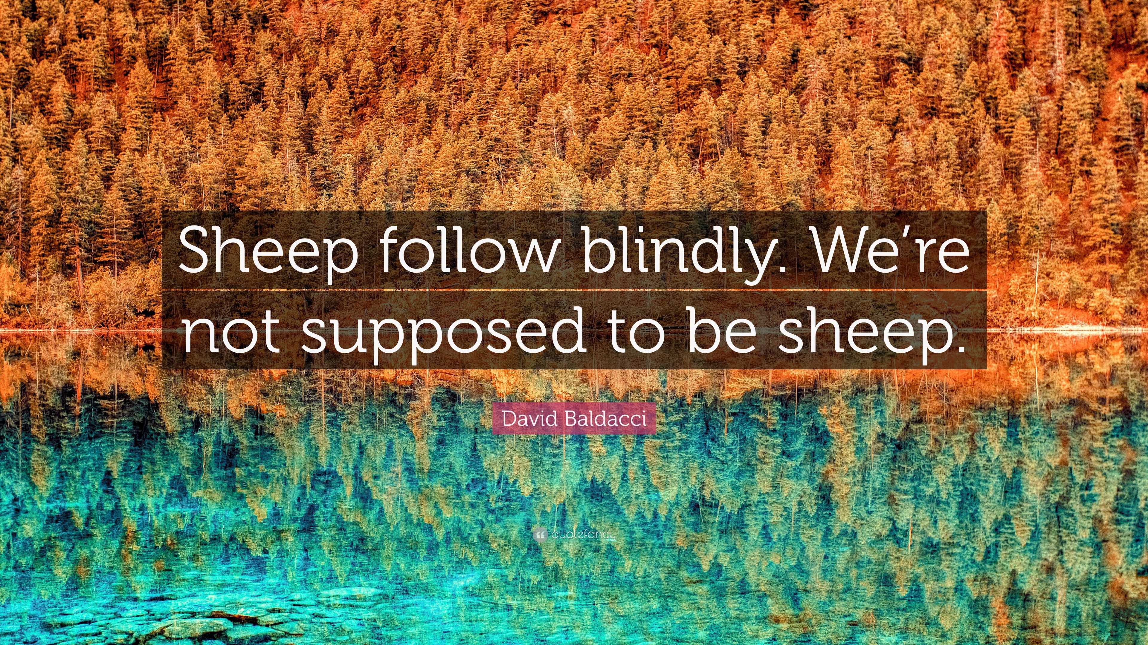 David Baldacci Quote: “Sheep follow blindly. We’re not supposed to be ...