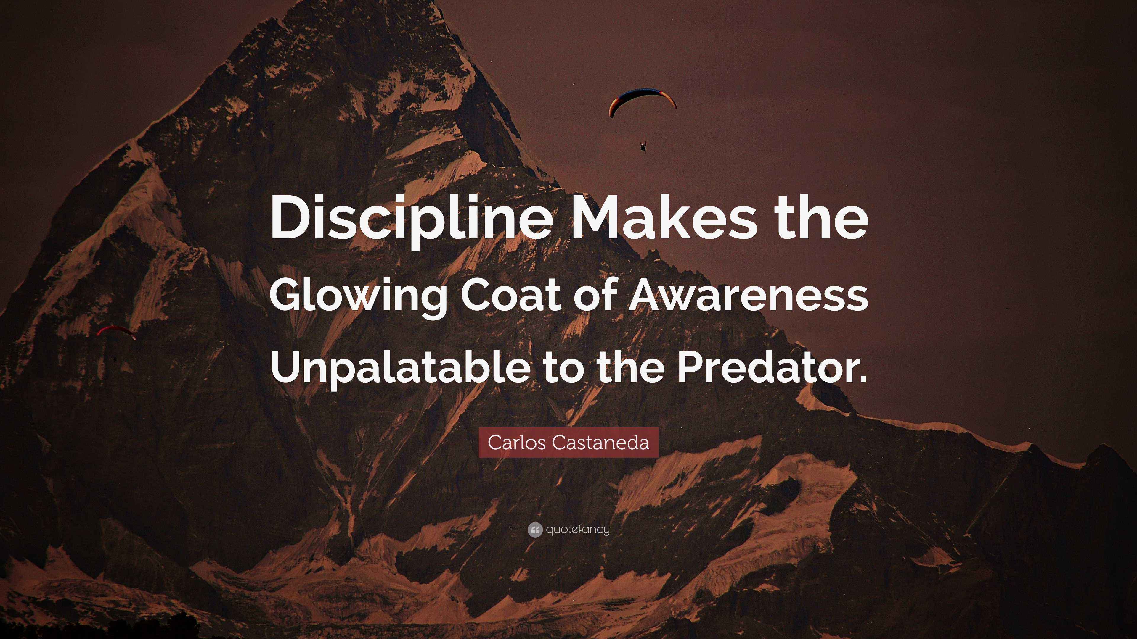 Carlos Castaneda Quote: “Discipline Makes the Glowing Coat of Awareness ...
