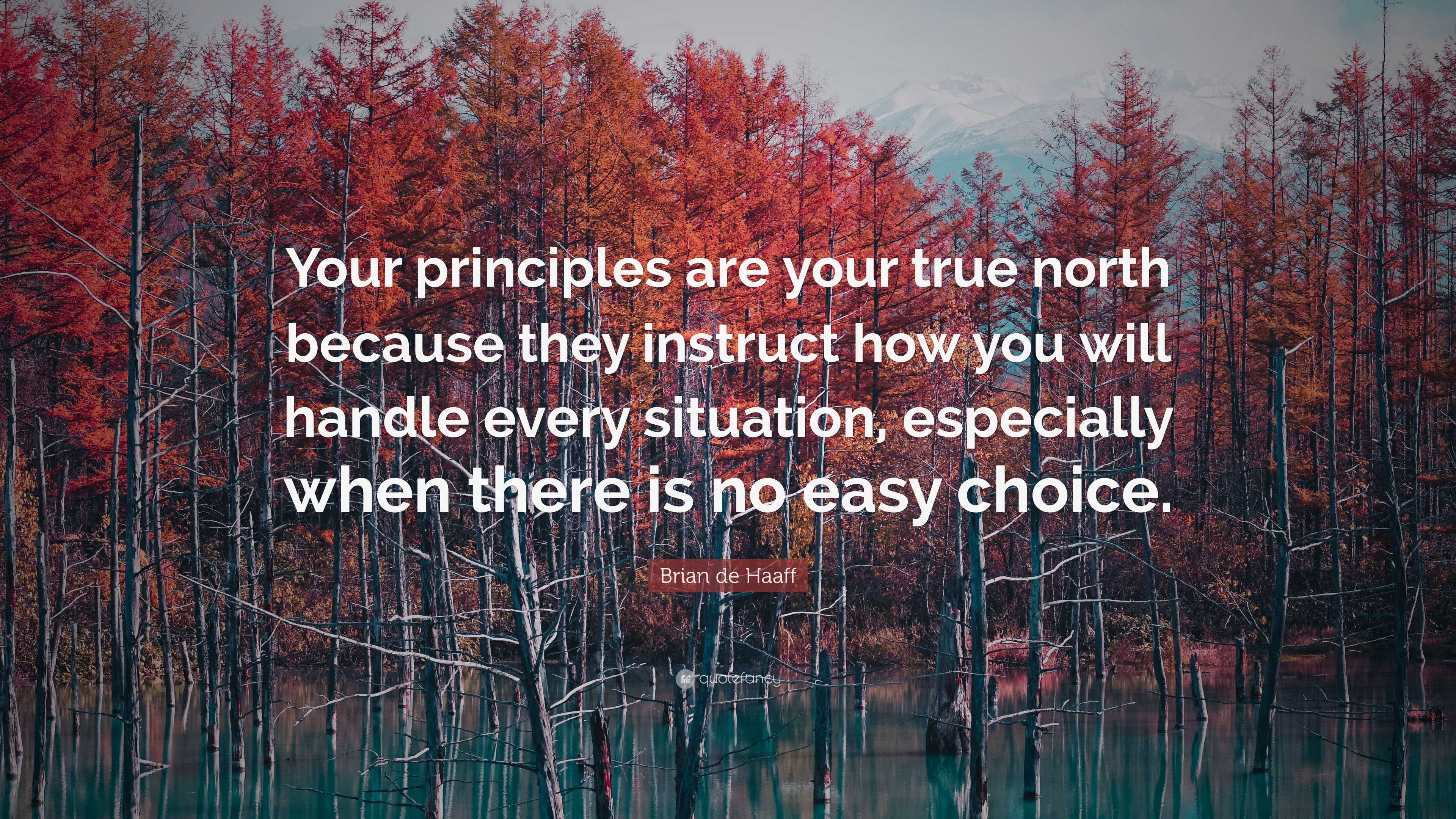 Brian de Haaff Quote: “Your principles are your true north because they ...