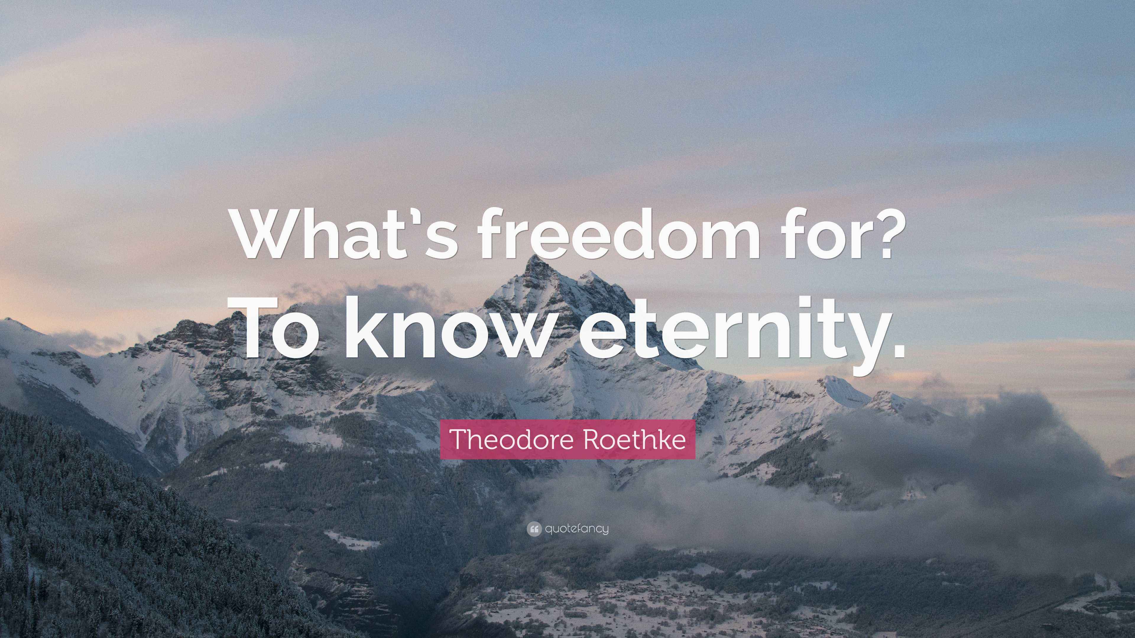 Theodore Roethke Quote: “What’s freedom for? To know eternity.”