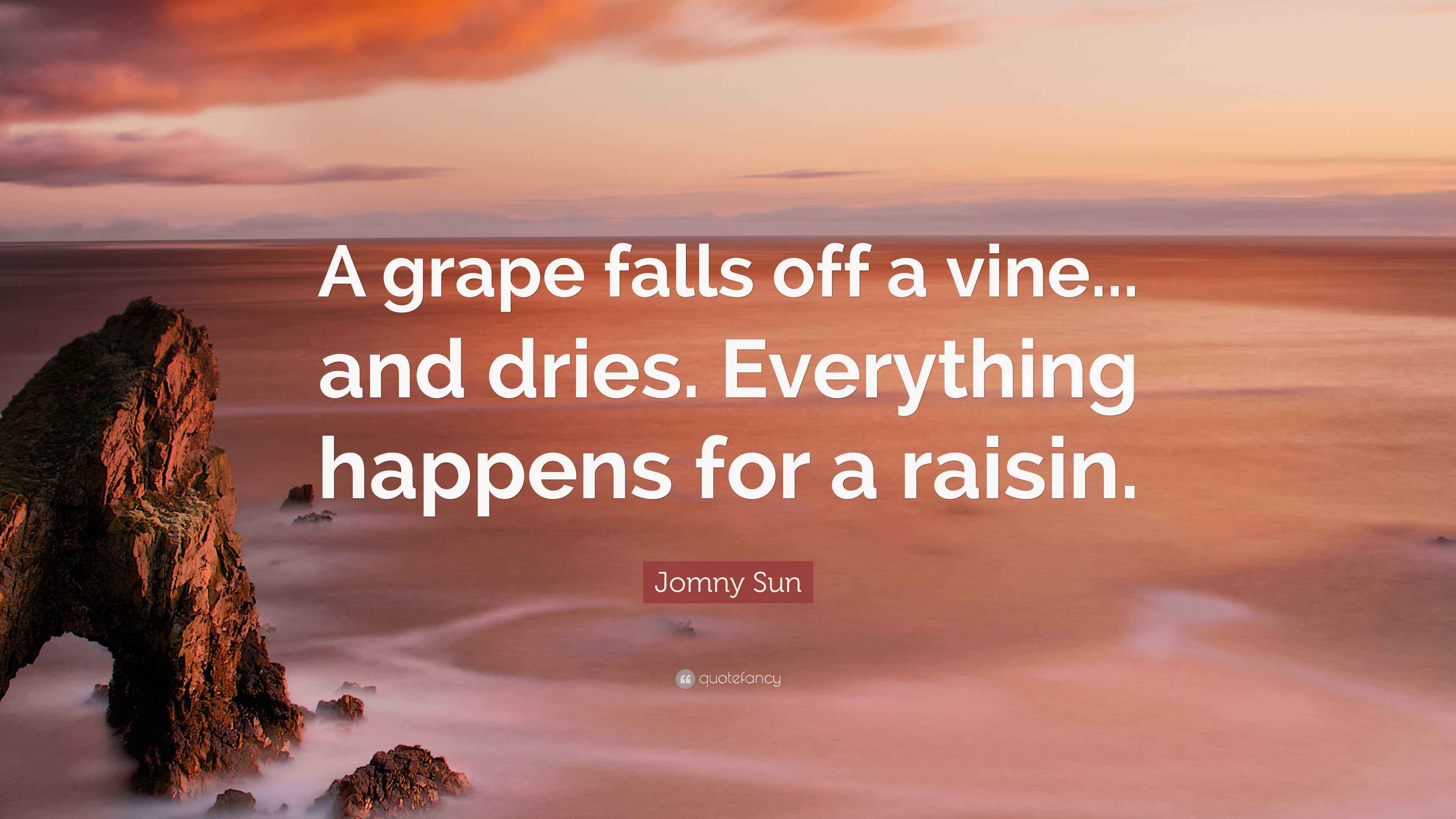 Jomny Sun Quote: “A grape falls off a vine... and dries. Everything ...