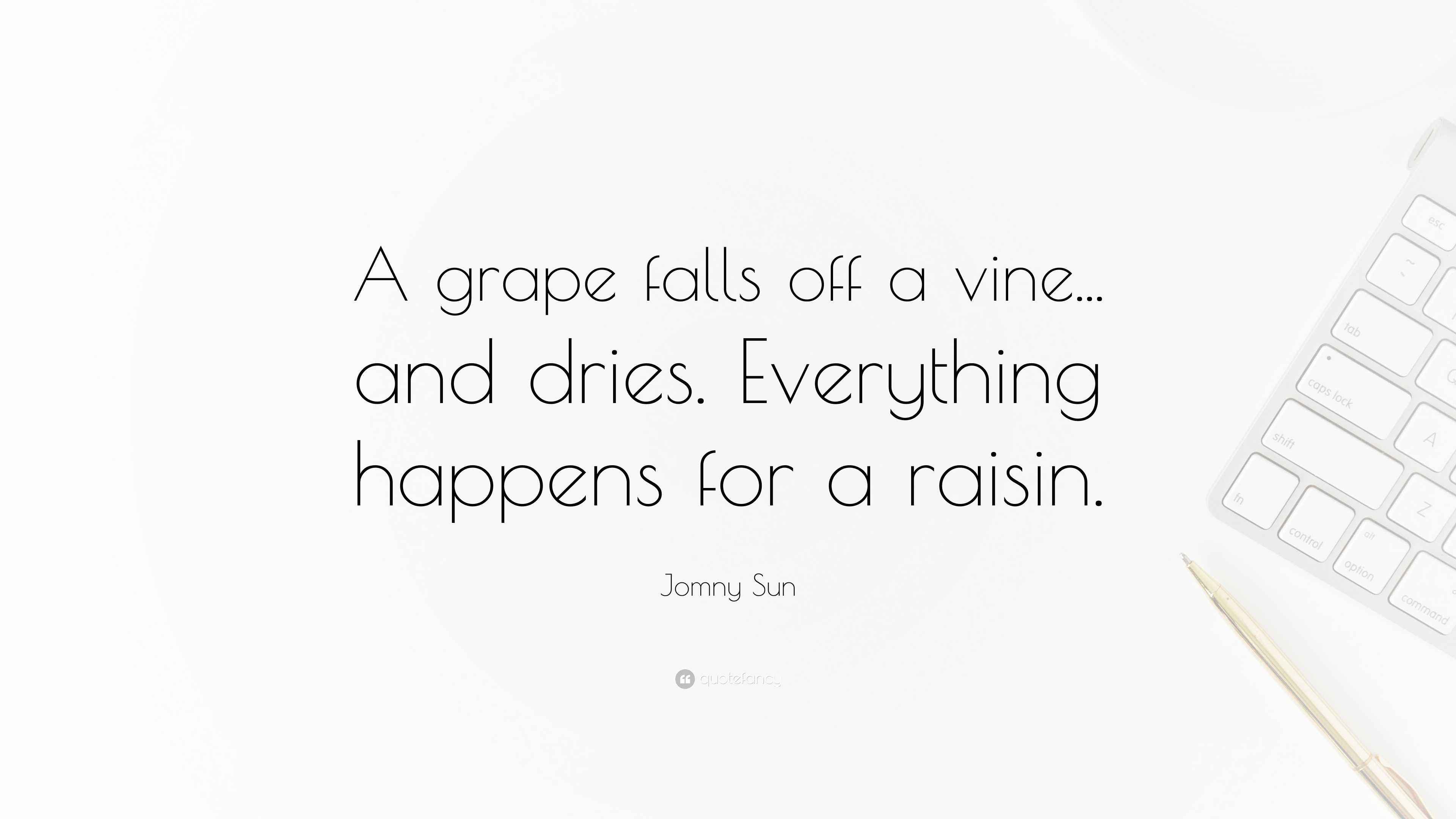 Jomny Sun Quote: “A grape falls off a vine... and dries. Everything ...