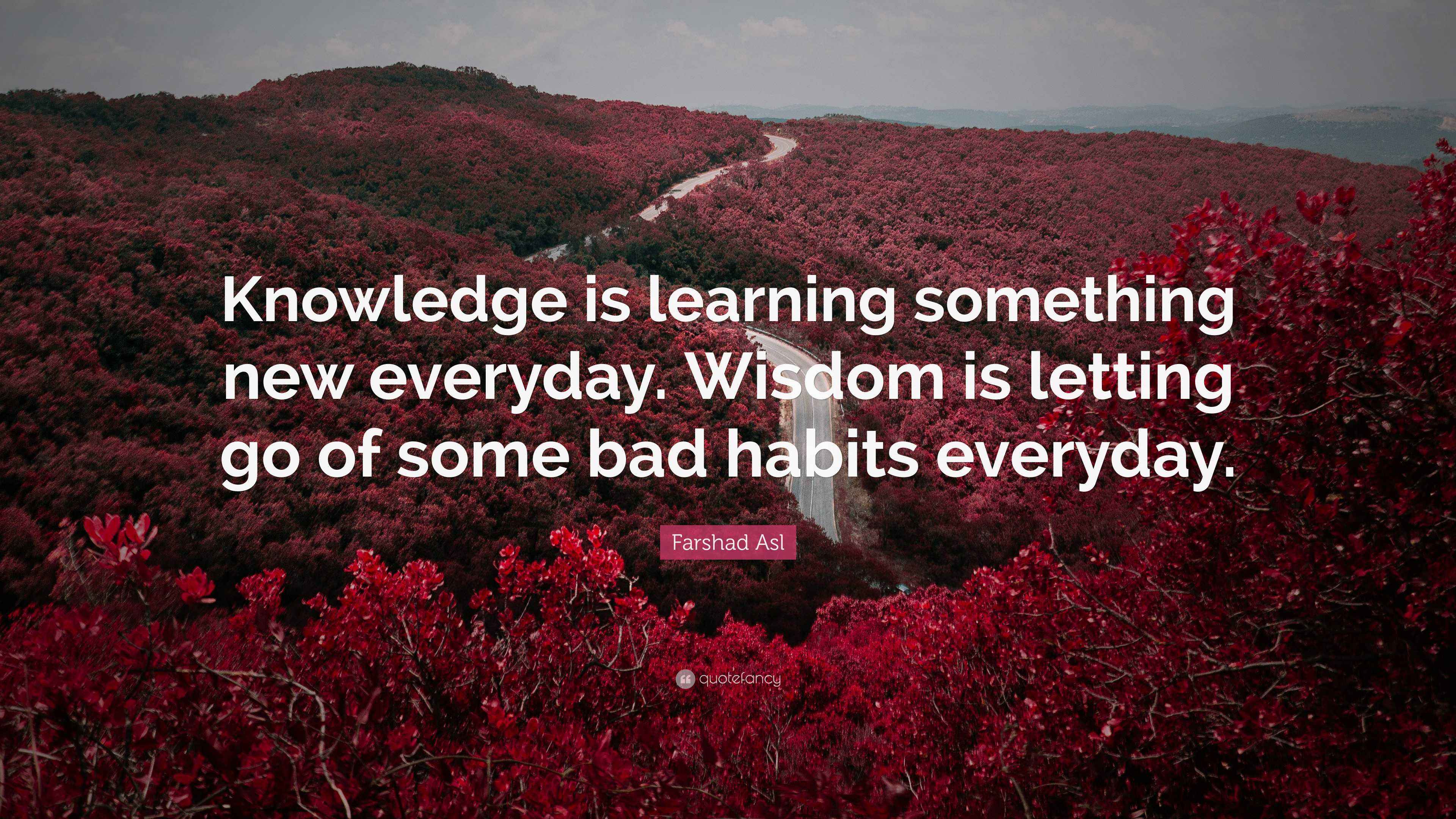 Bad Knowledge Quotes