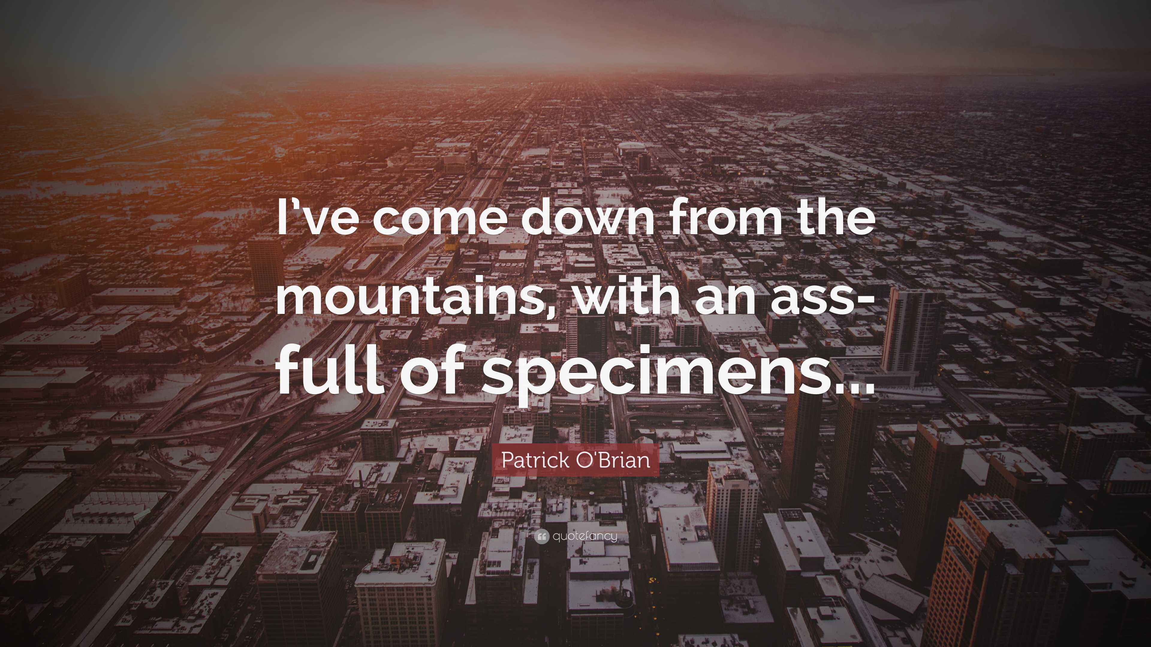 Patrick O'Brian Quote: “I’ve come down from the mountains, with an ass ...
