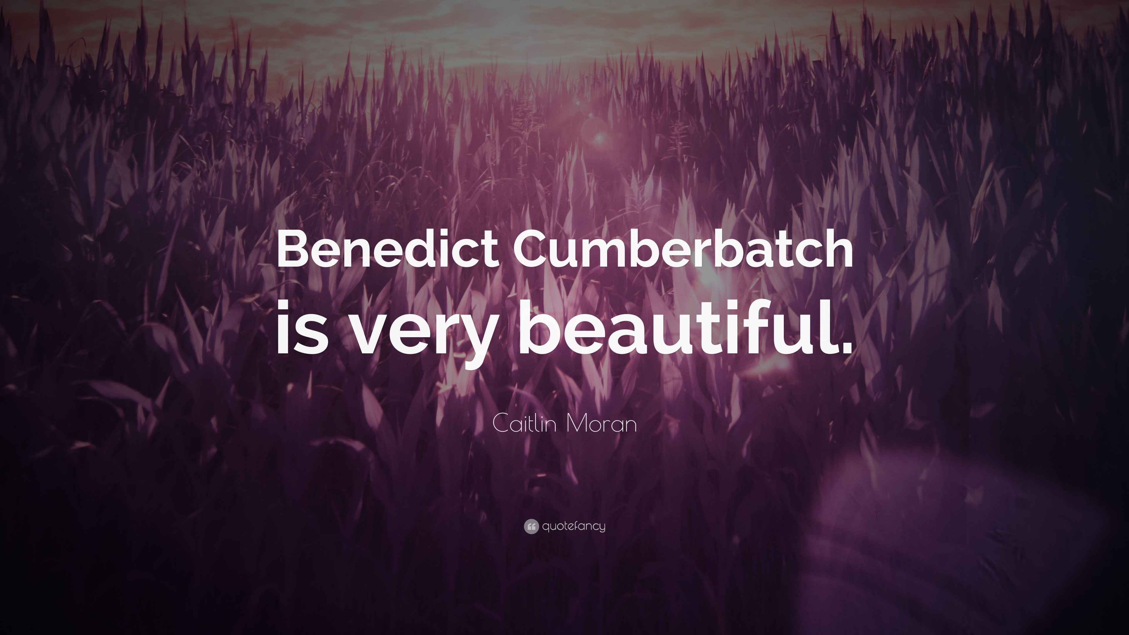 Caitlin Moran Quote: “Benedict Cumberbatch is very beautiful.”