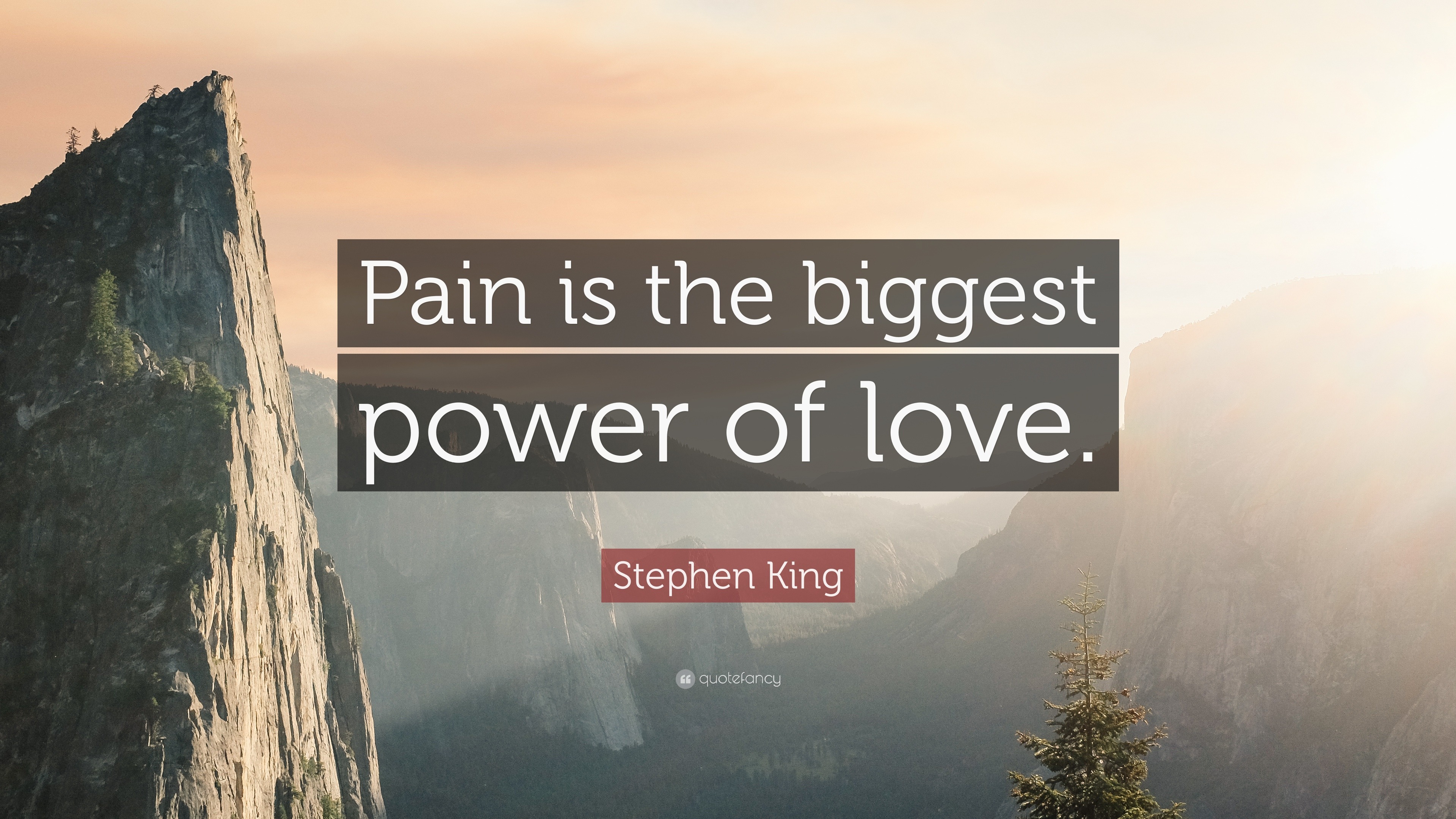 Stephen King Quote: “Pain is the biggest power of love.”