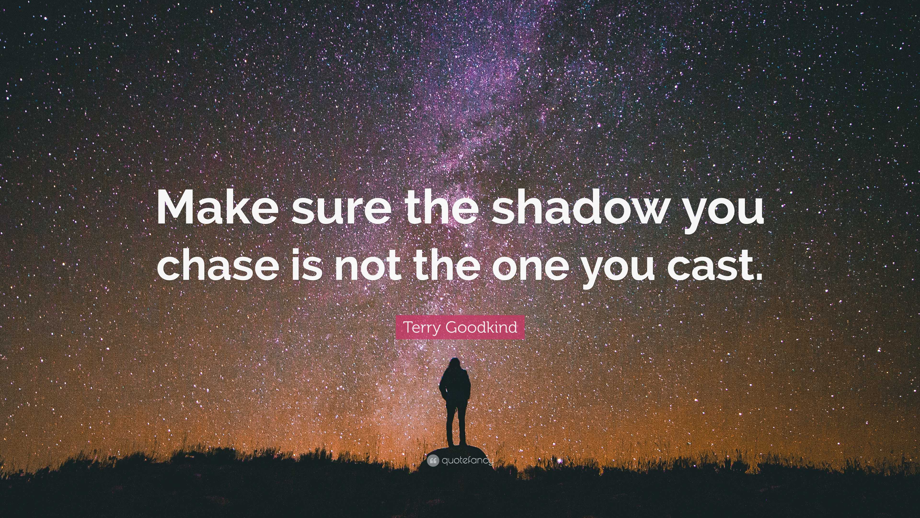Terry Goodkind Quote: “Make sure the shadow you chase is not the one ...