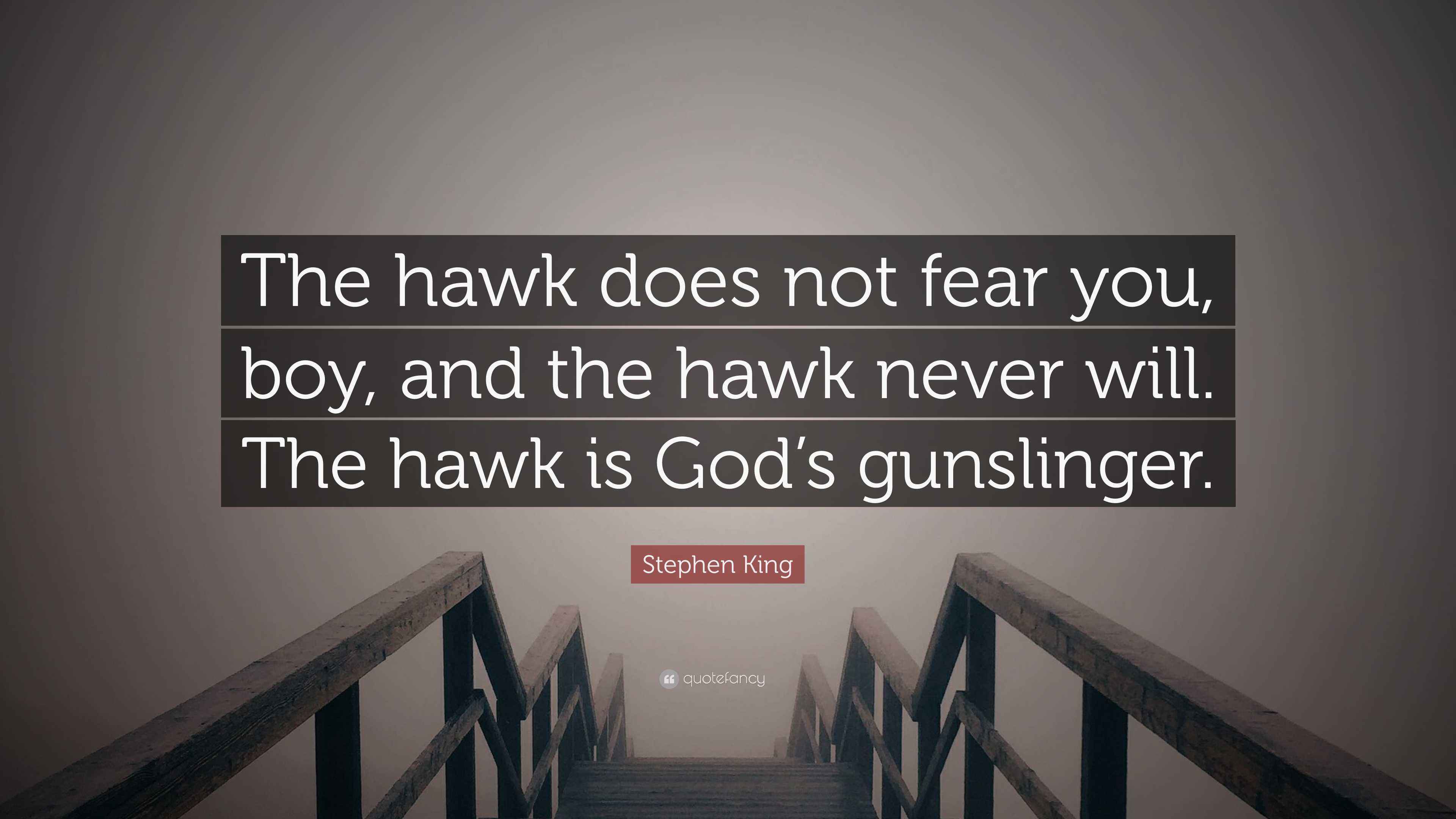 Stephen King Quote: “The hawk does not fear you, boy, and the hawk ...