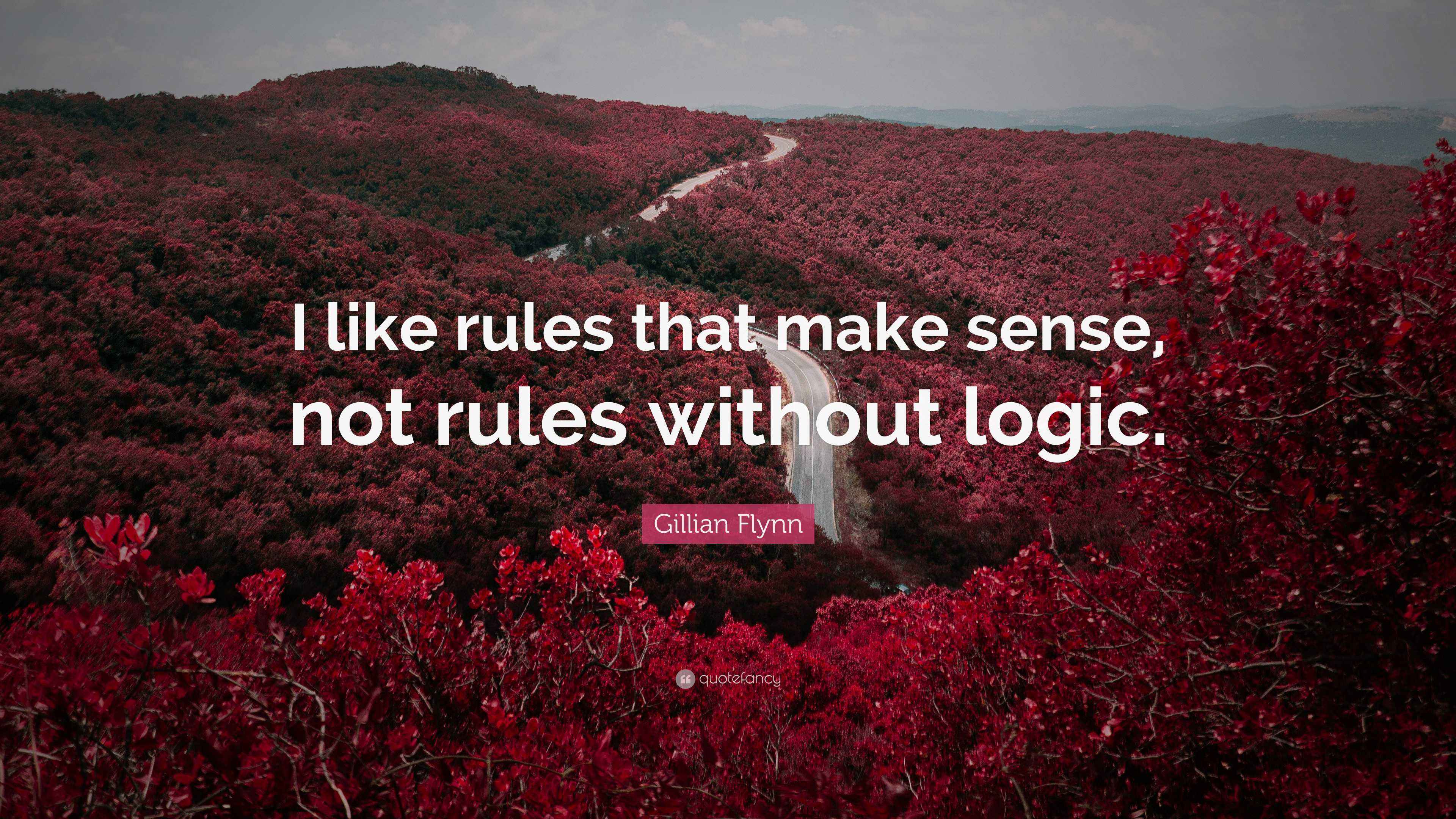 Gillian Flynn Quote: “I like rules that make sense, not rules without ...