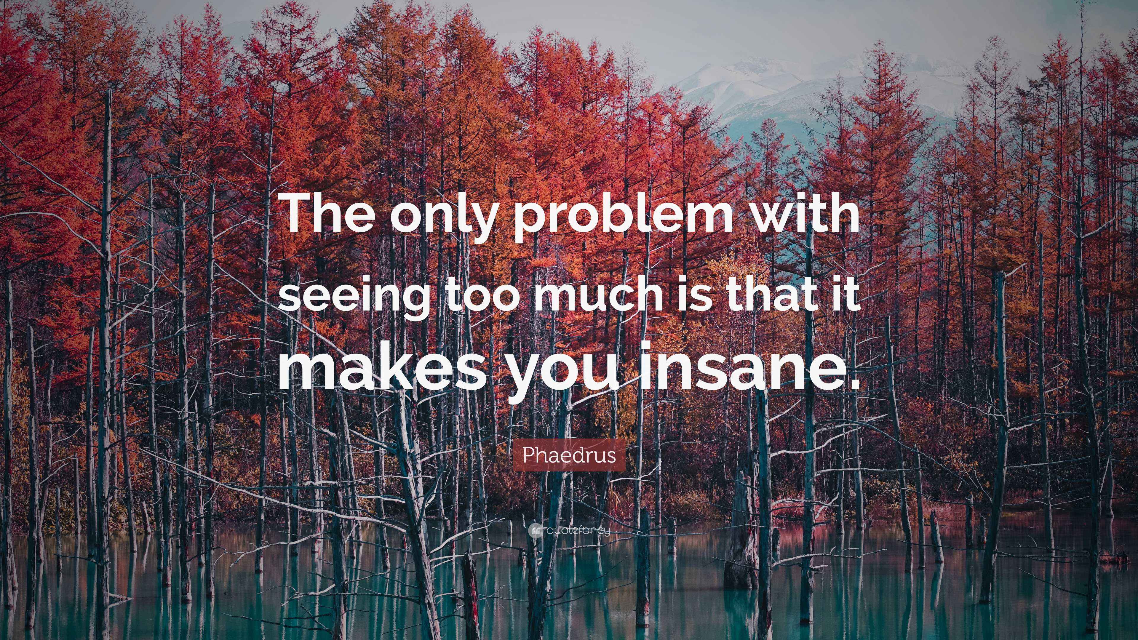 Phaedrus Quote: “The only problem with seeing too much is that it makes ...