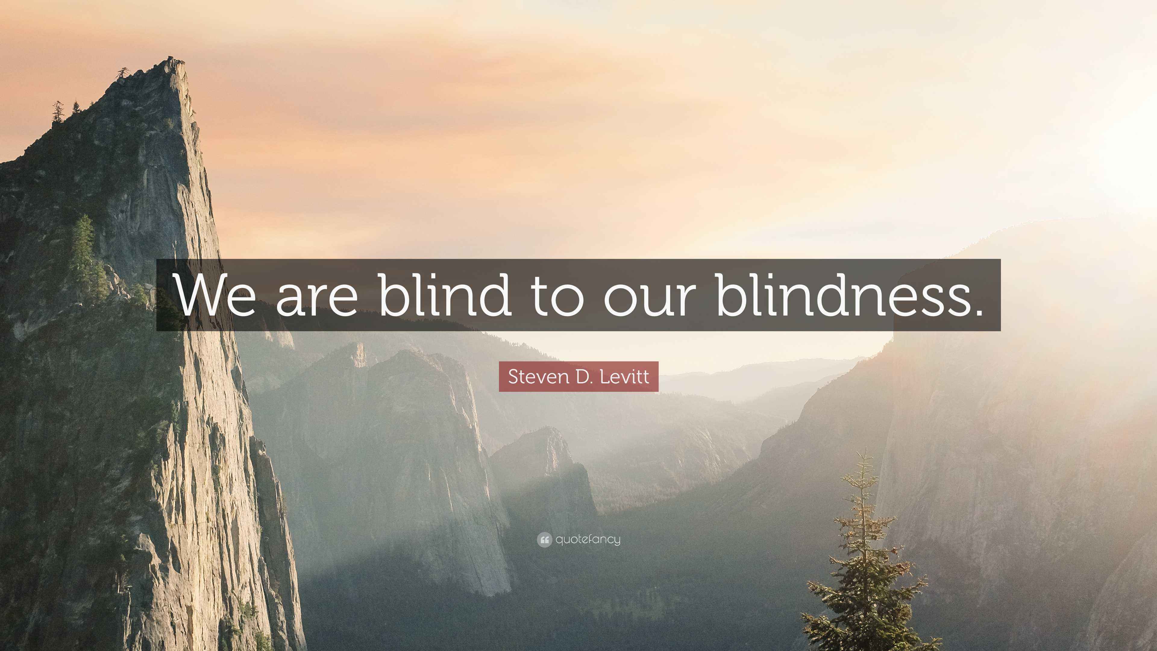 Steven D. Levitt Quote: “We are blind to our blindness.”