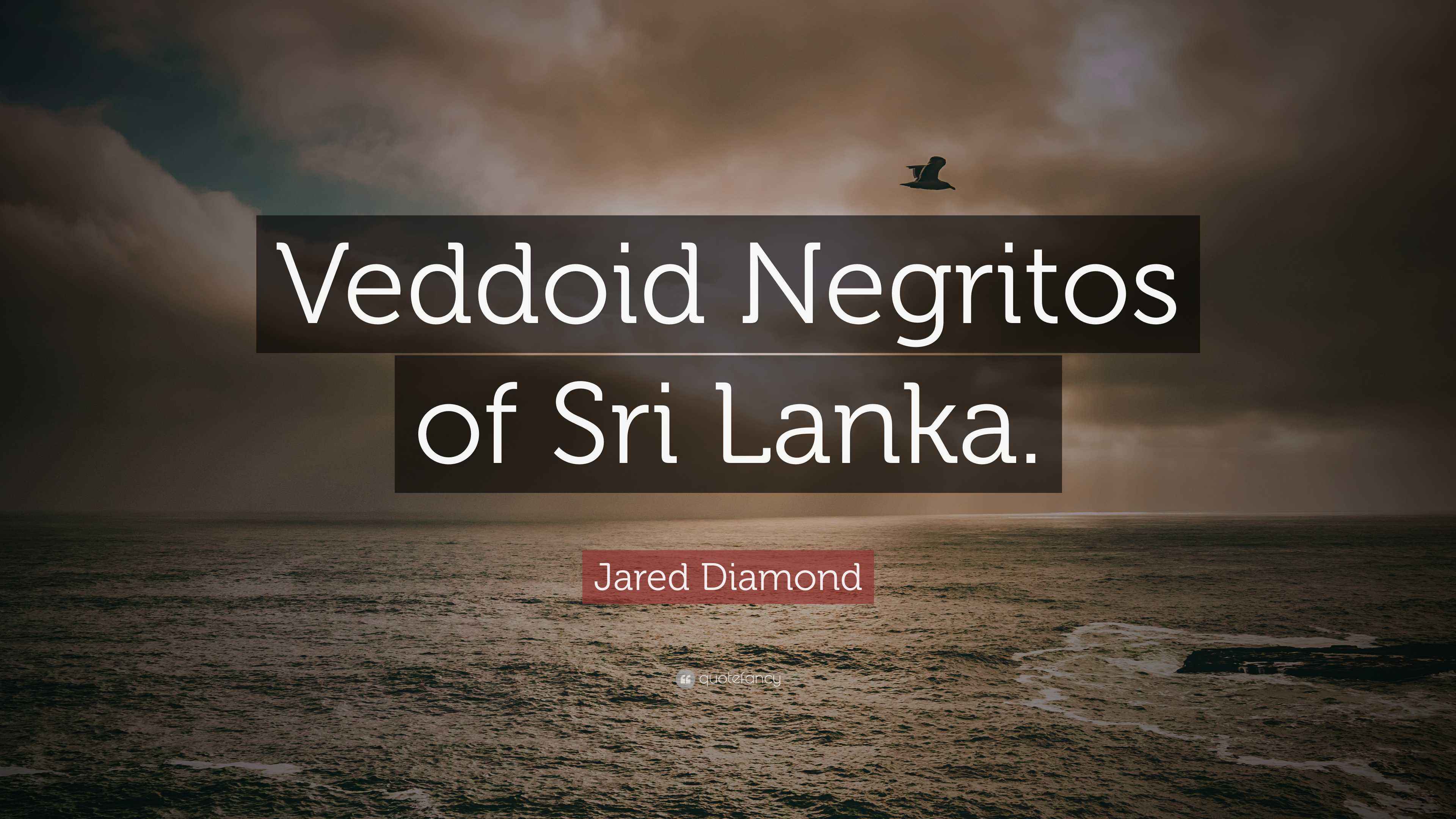 Jared Diamond Quote: “Veddoid Negritos of Sri Lanka.”