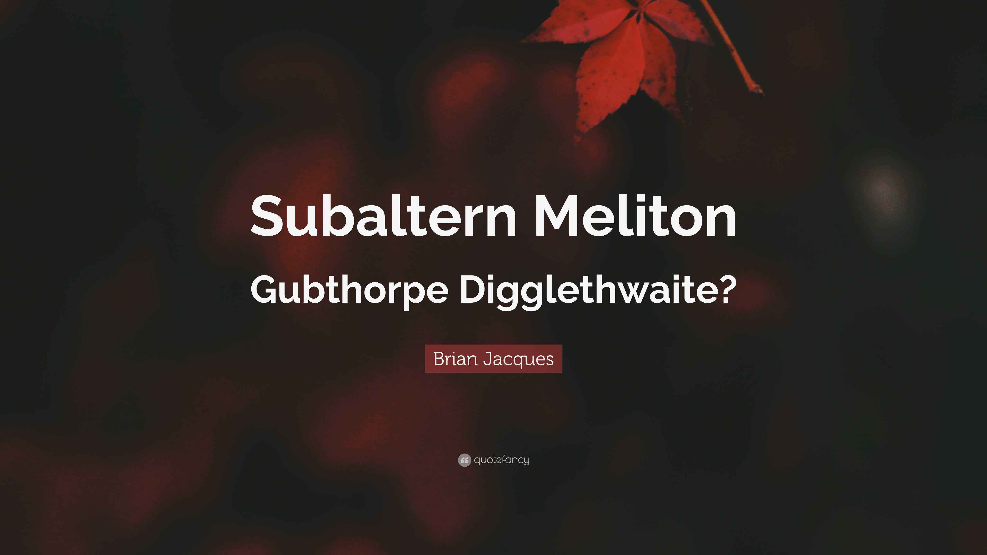 Brian Jacques Quote: “Subaltern Meliton Gubthorpe Digglethwaite?”
