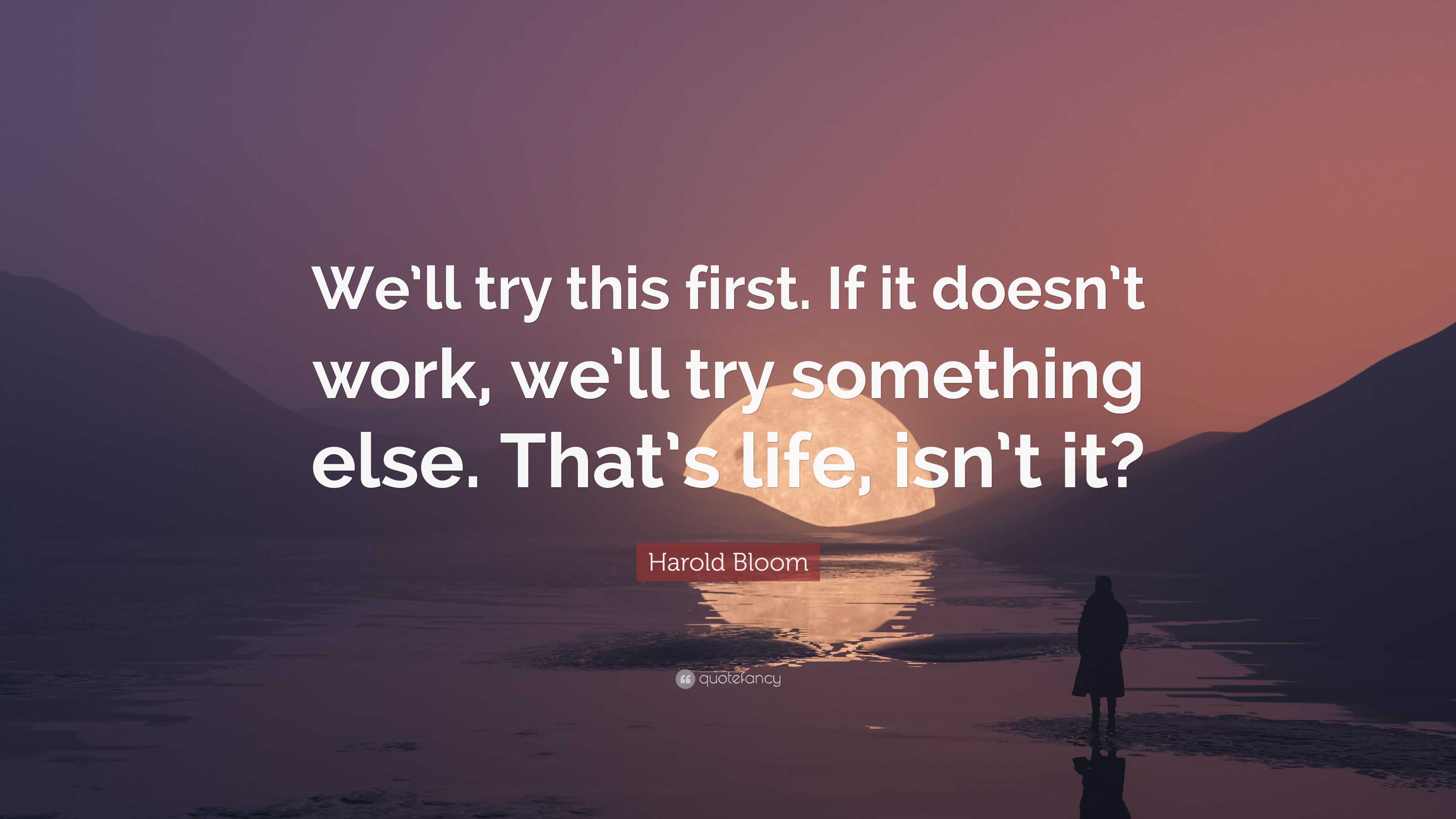 Harold Bloom Quote: “We’ll try this first. If it doesn’t work, we’ll ...