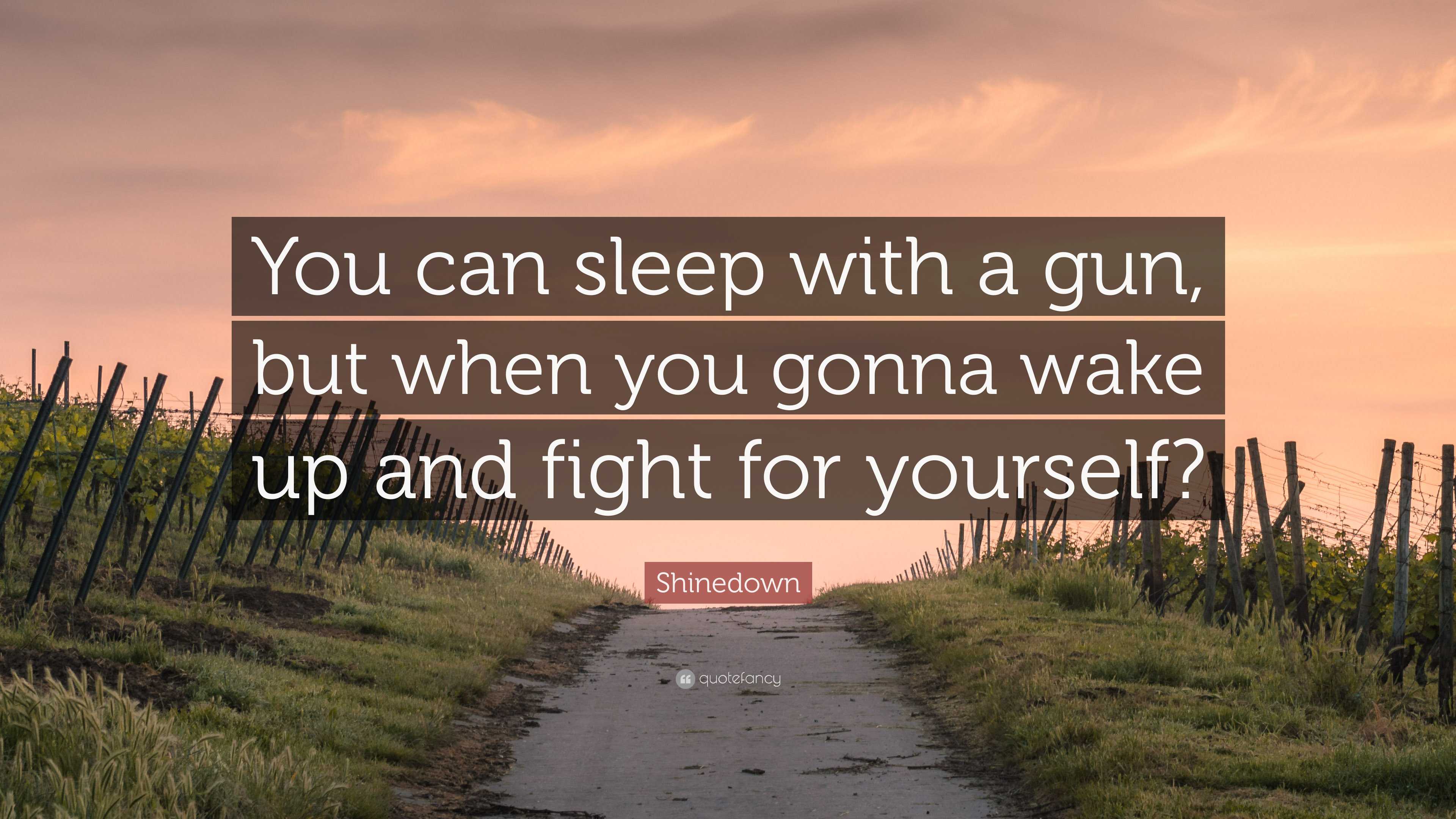 Shinedown Quote: “You can sleep with a gun, but when you gonna wake up ...