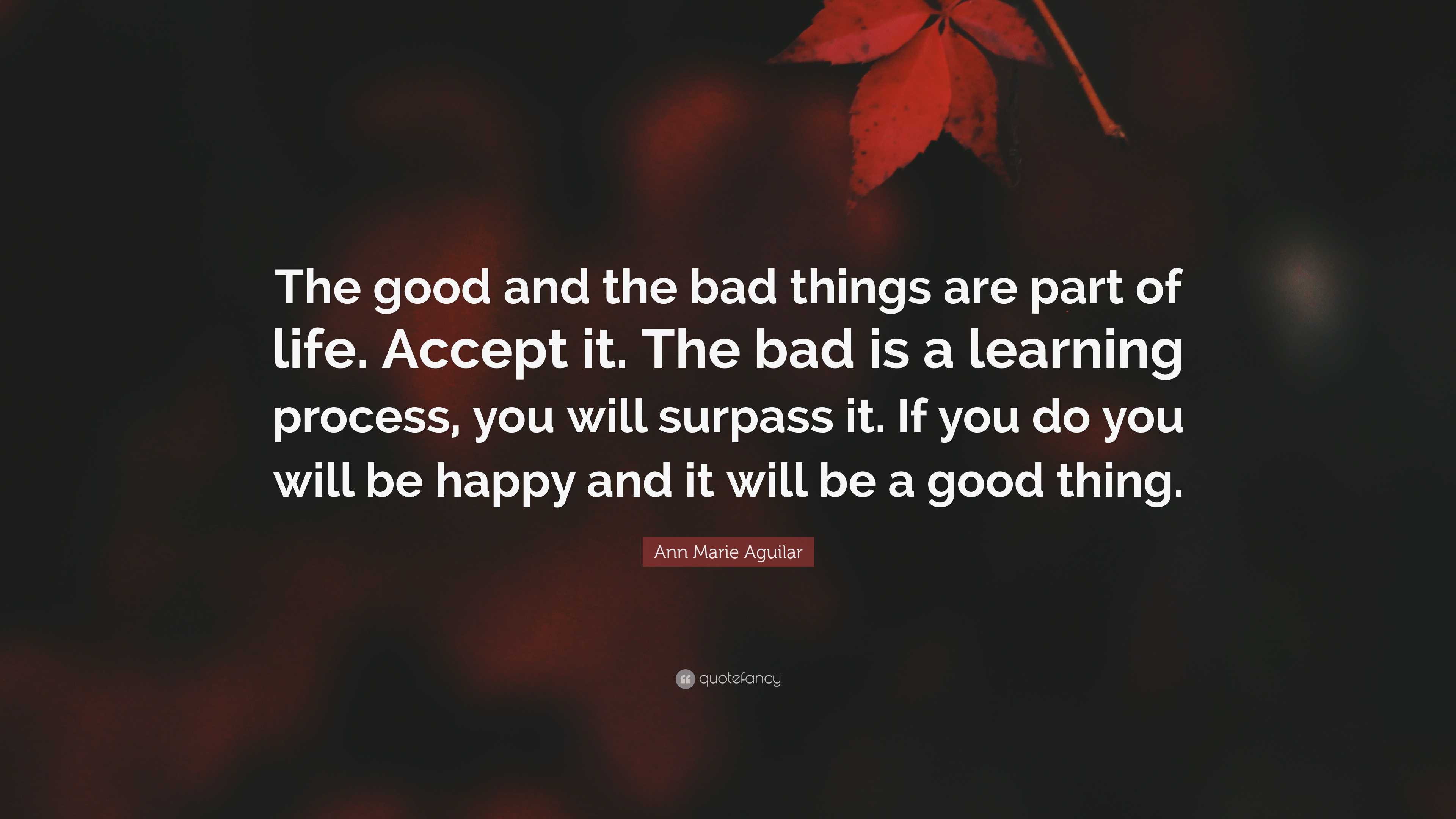 Ann Marie Aguilar Quote: “The good and the bad things are part of life ...