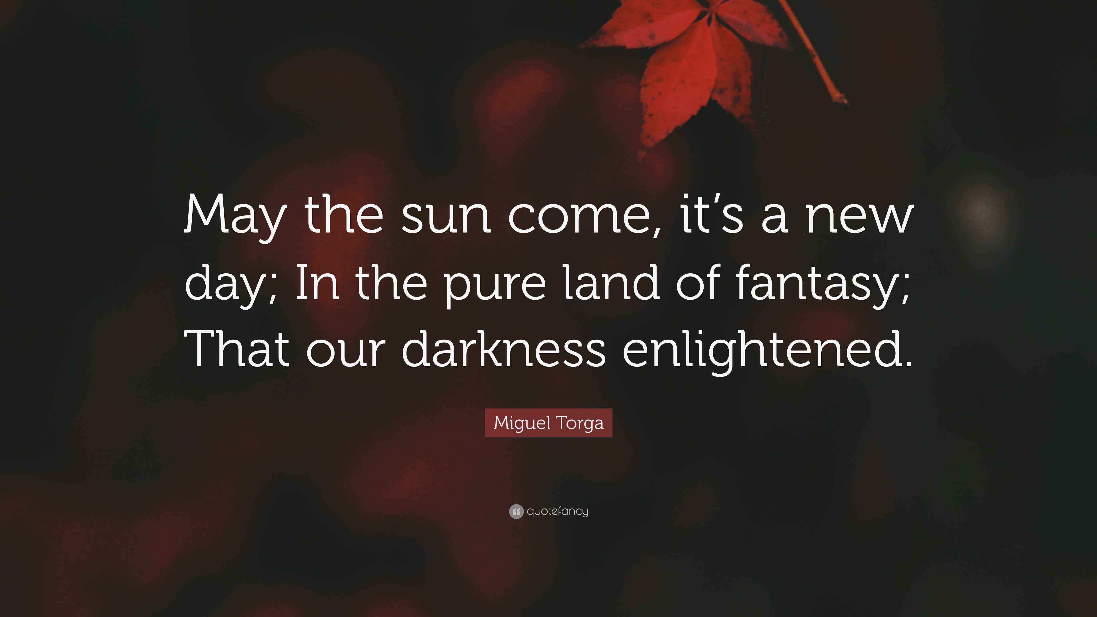 Dark Fantasy Quotes A Dark Fantasy Romance With Enough Emotional