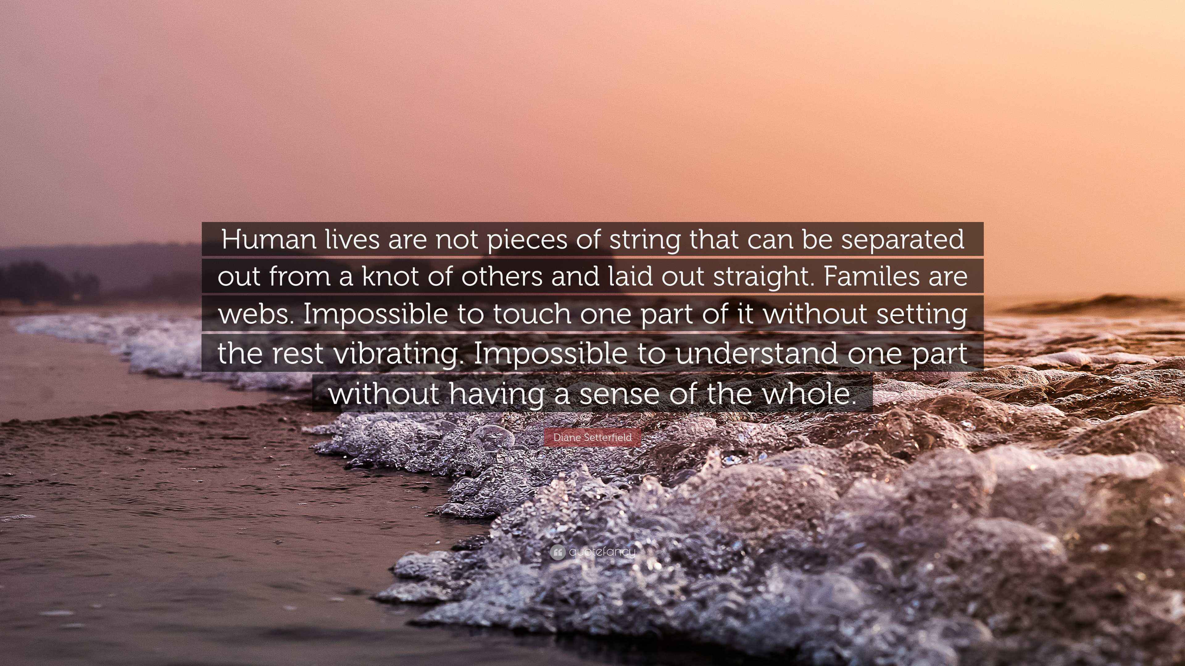 Diane Setterfield Quote: “Human lives are not pieces of string that can ...