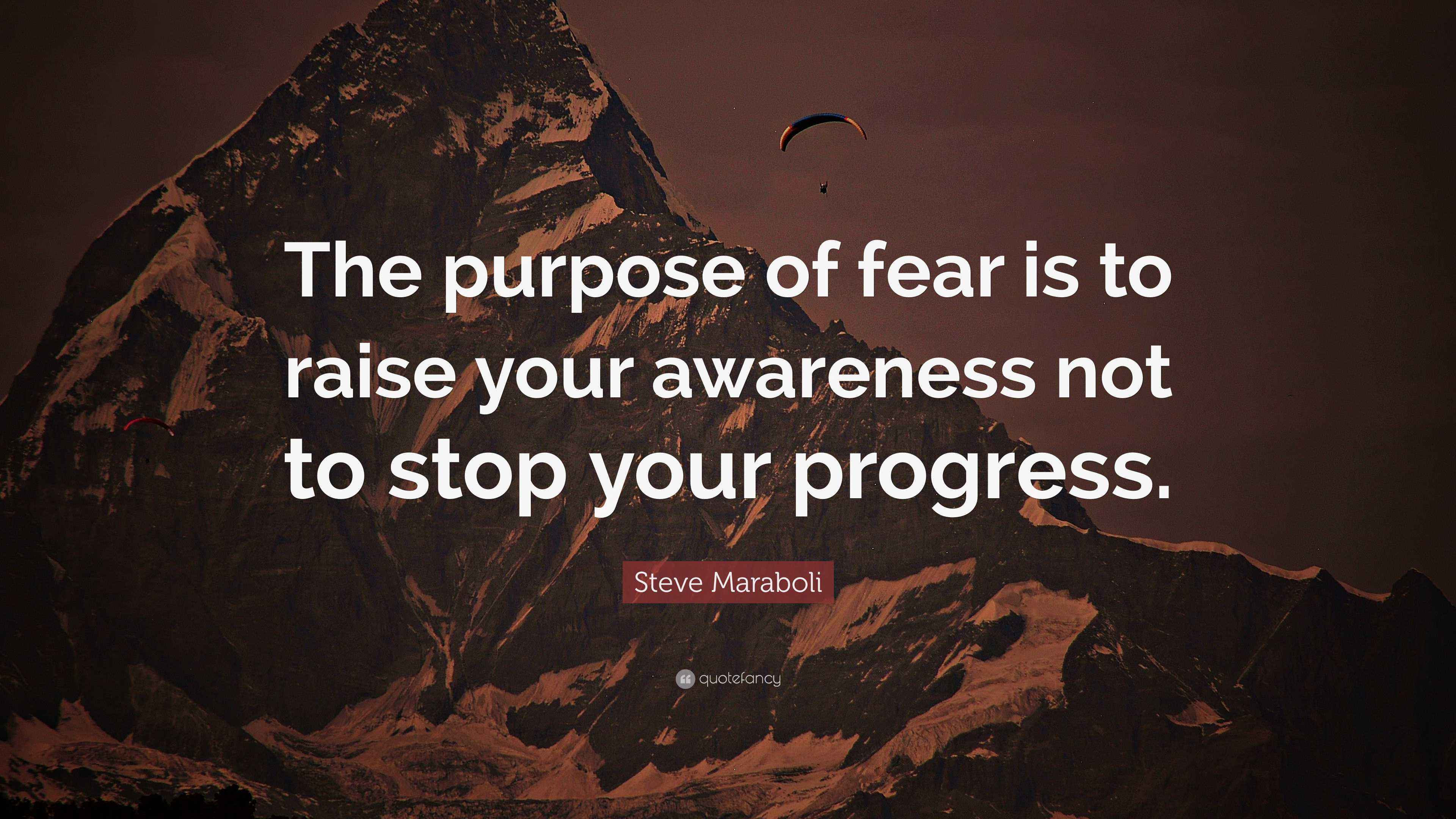 Steve Maraboli Quote: “The purpose of fear is to raise your awareness ...