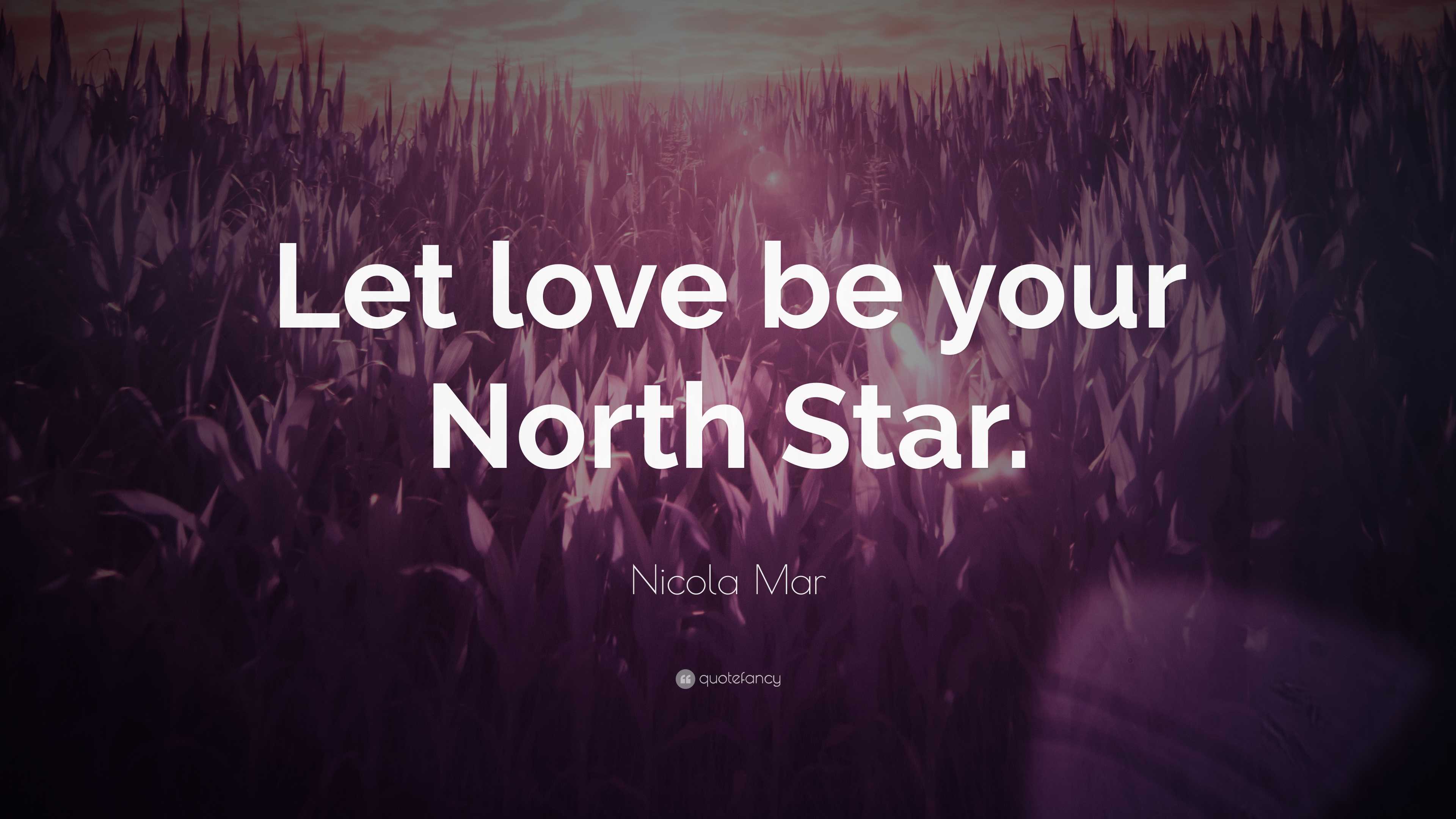 Nicola Mar Quote: “Let love be your North Star.”
