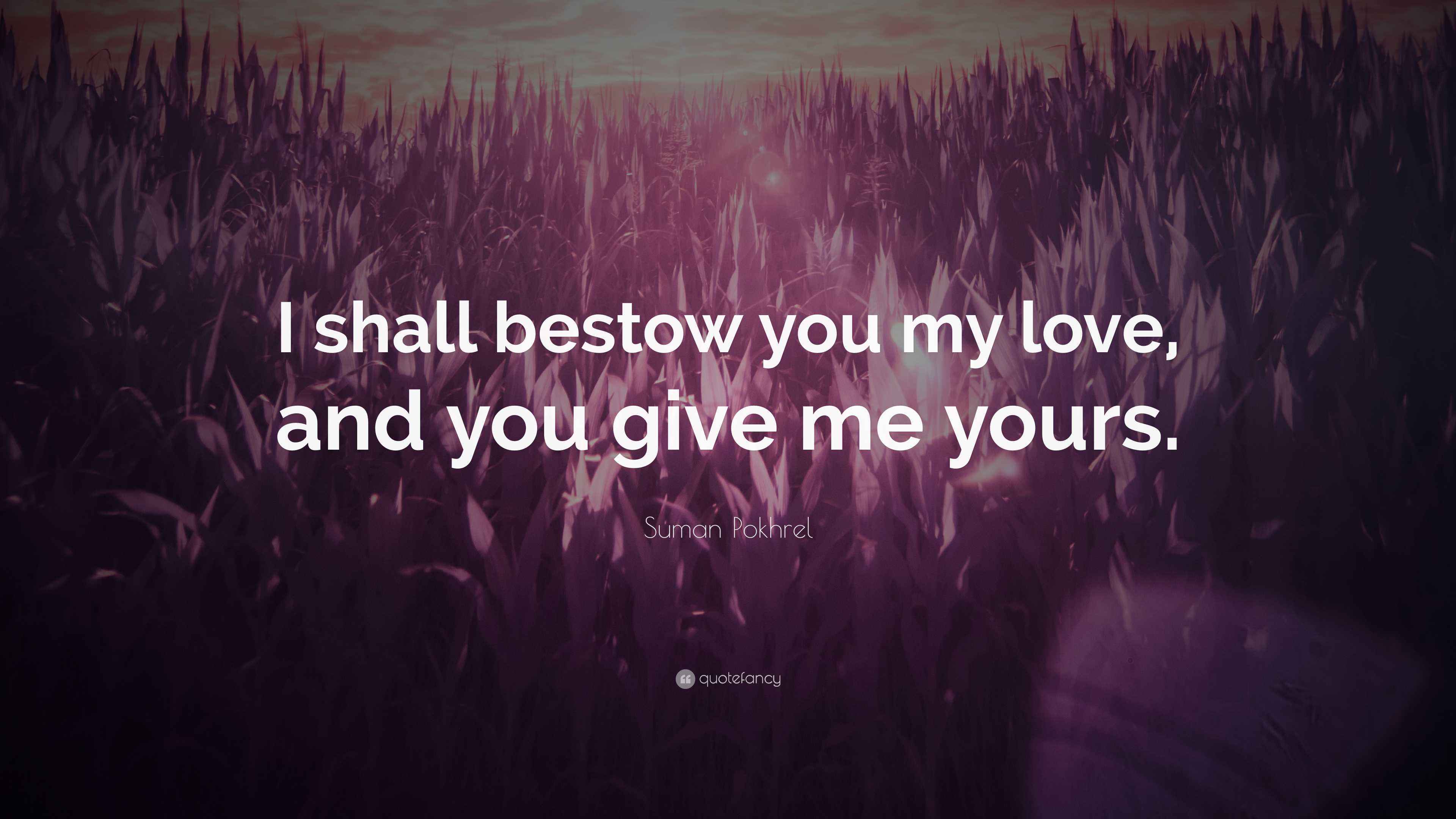 Suman Pokhrel Quote: “I shall bestow you my love, and you give me yours.”