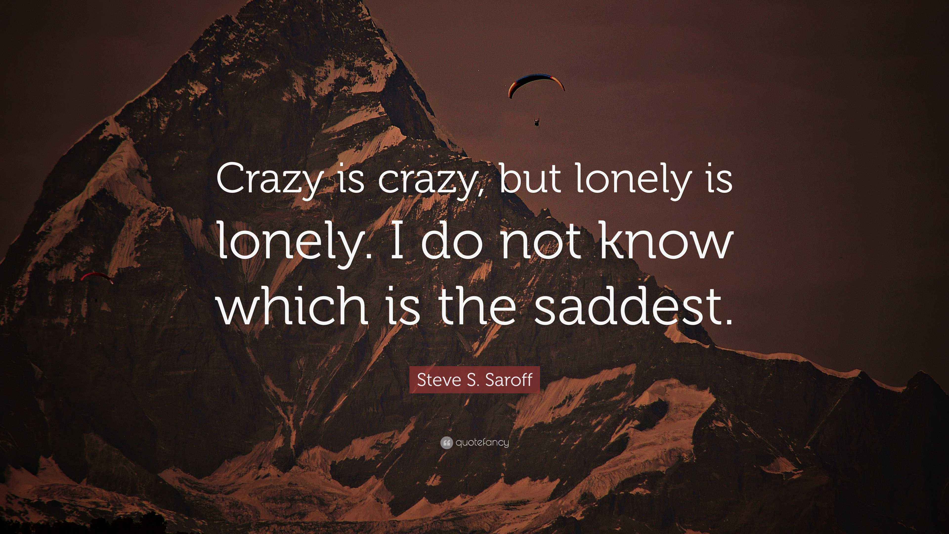 Steve S. Saroff Quote: “Crazy is crazy, but lonely is lonely. I do not ...