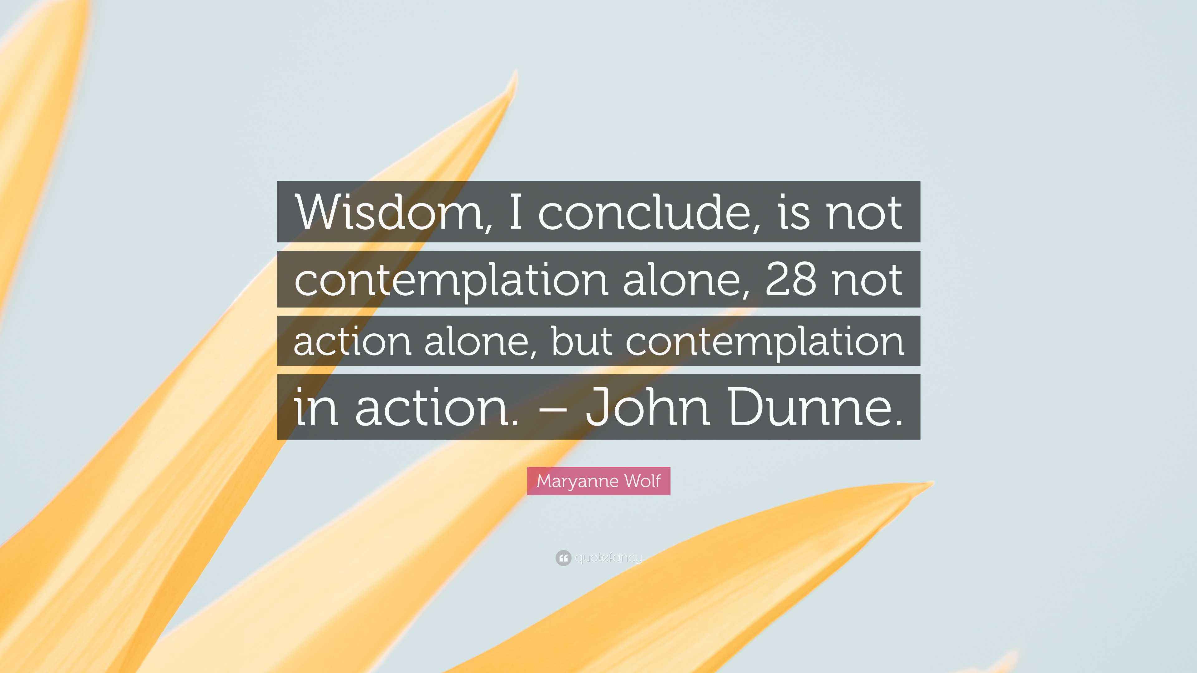 Maryanne Wolf Quote: “Wisdom, I conclude, is not contemplation alone ...