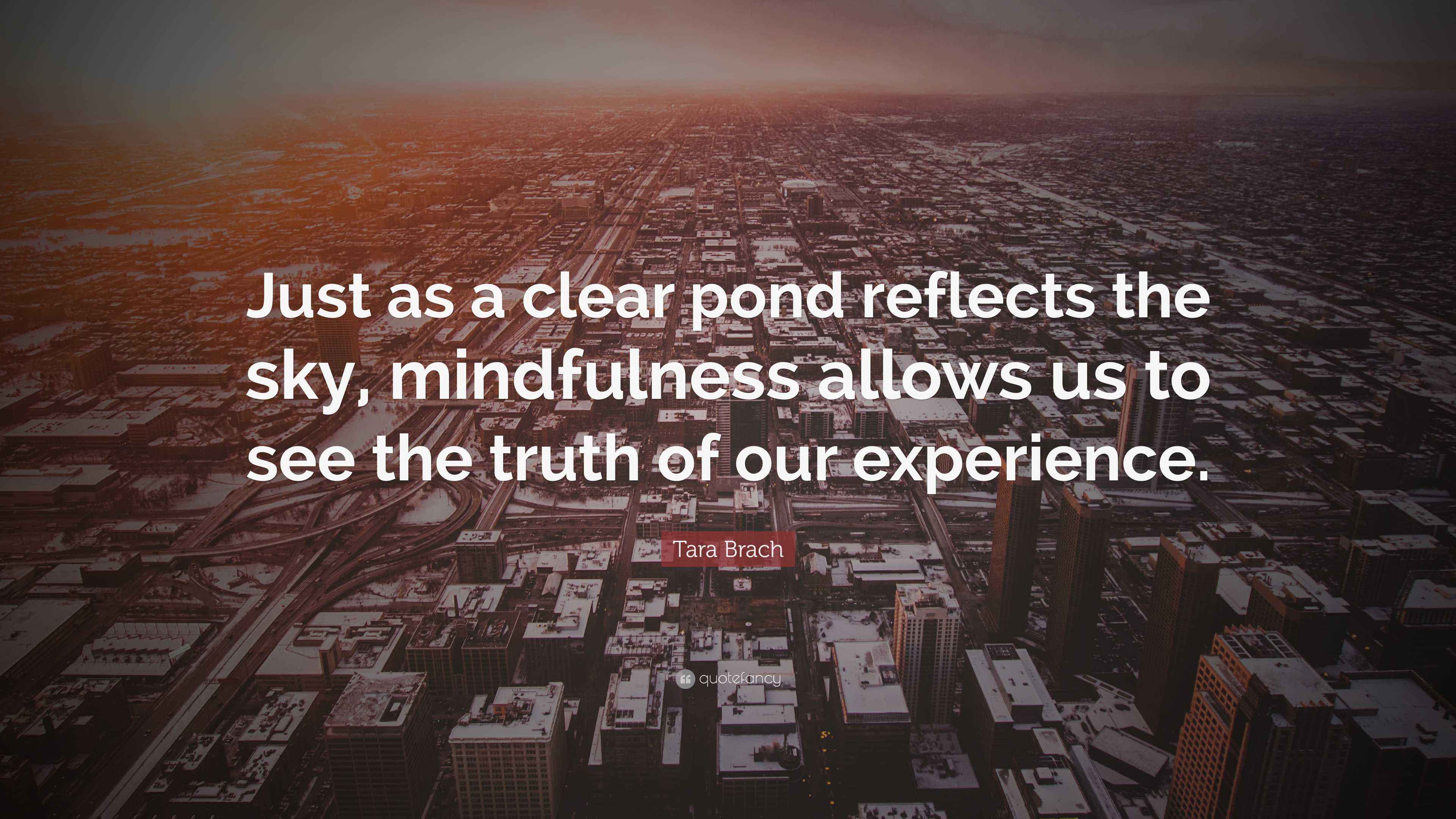 Tara Brach Quote: “Just as a clear pond reflects the sky, mindfulness ...