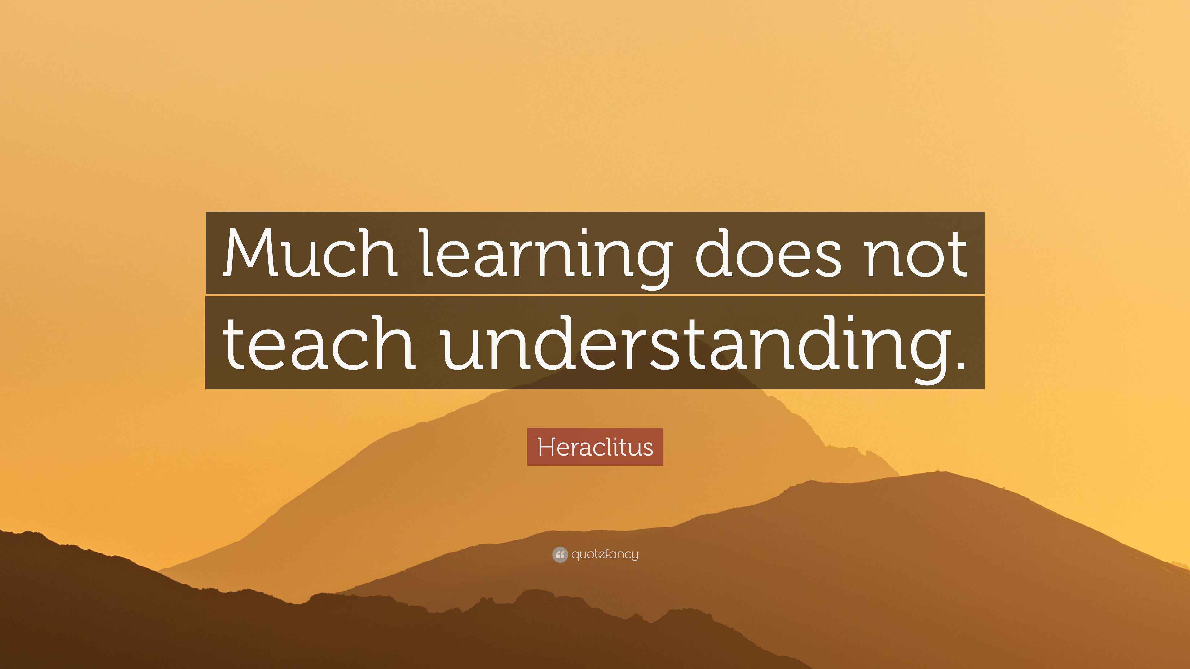 Heraclitus Quote: “Much learning does not teach understanding.”