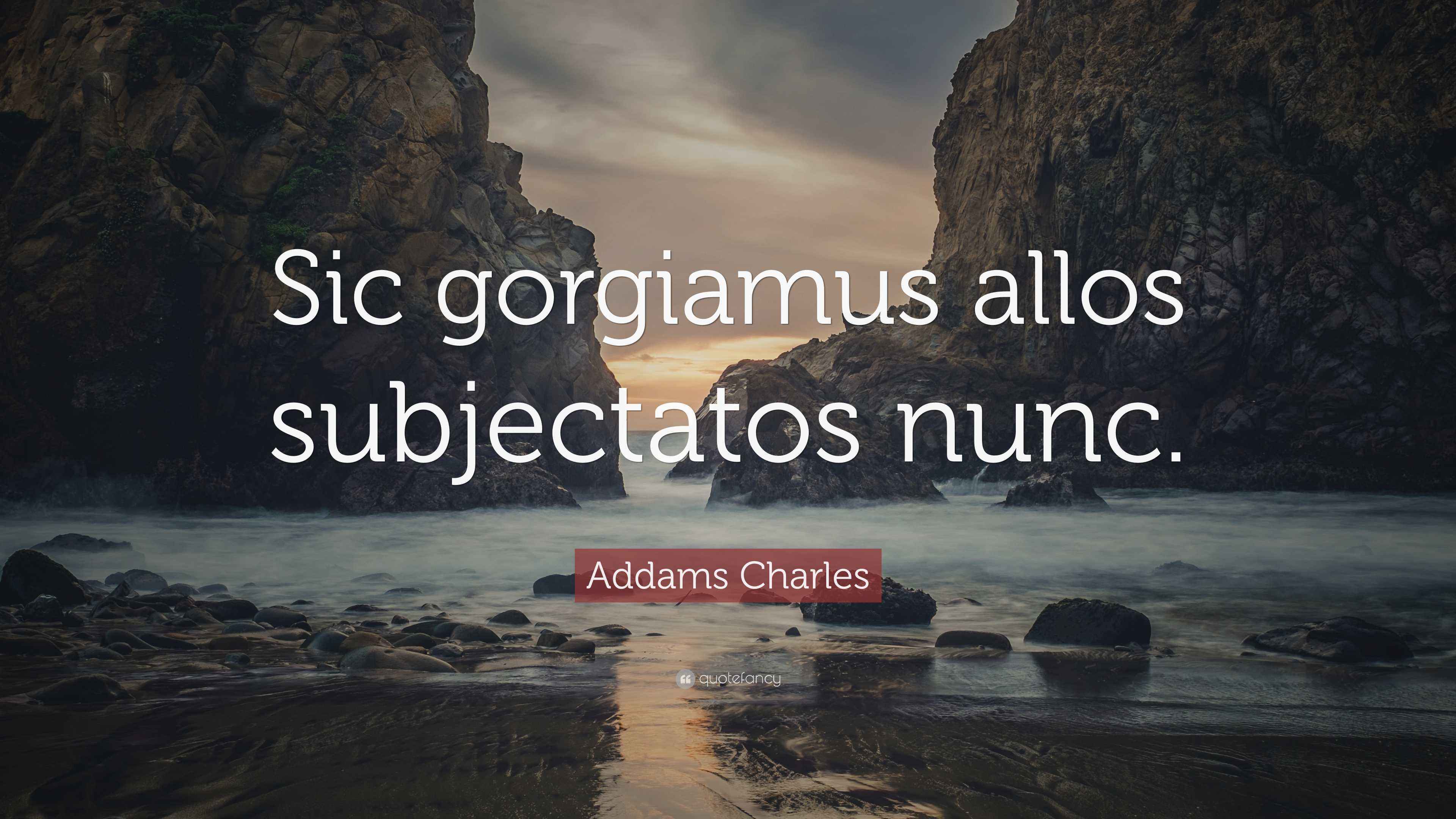 Addams Charles Quote: “Sic gorgiamus allos subjectatos nunc.”