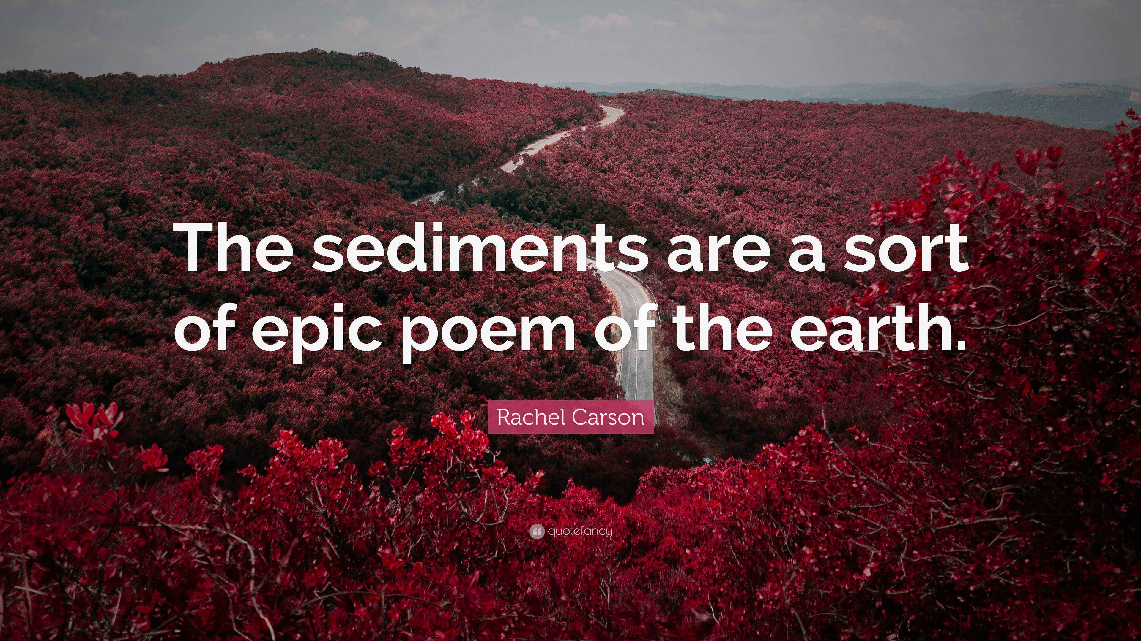 Rachel Carson Quote: “The sediments are a sort of epic poem of the earth.”