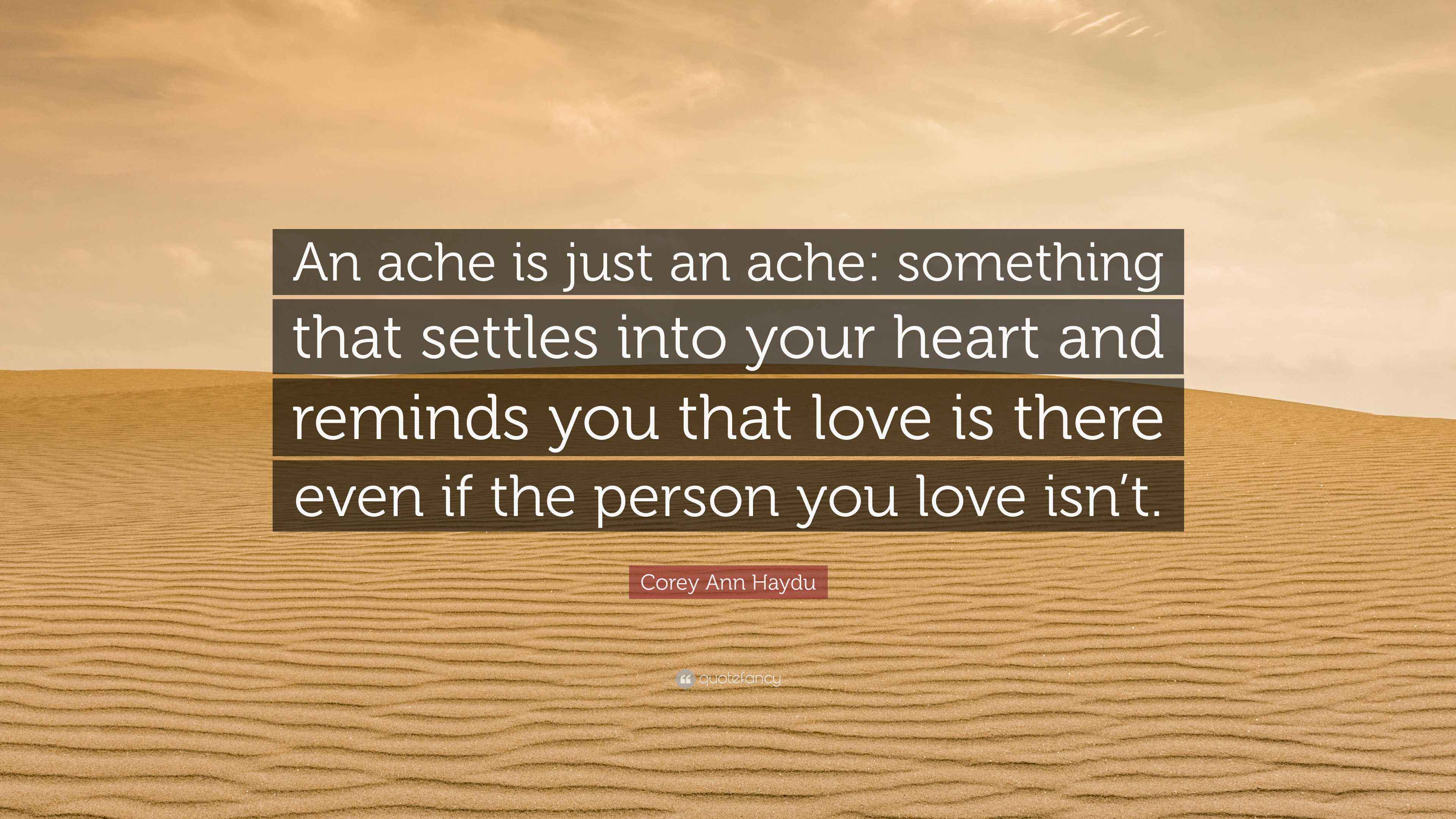 Corey Ann Haydu Quote: “An ache is just an ache: something that settles ...
