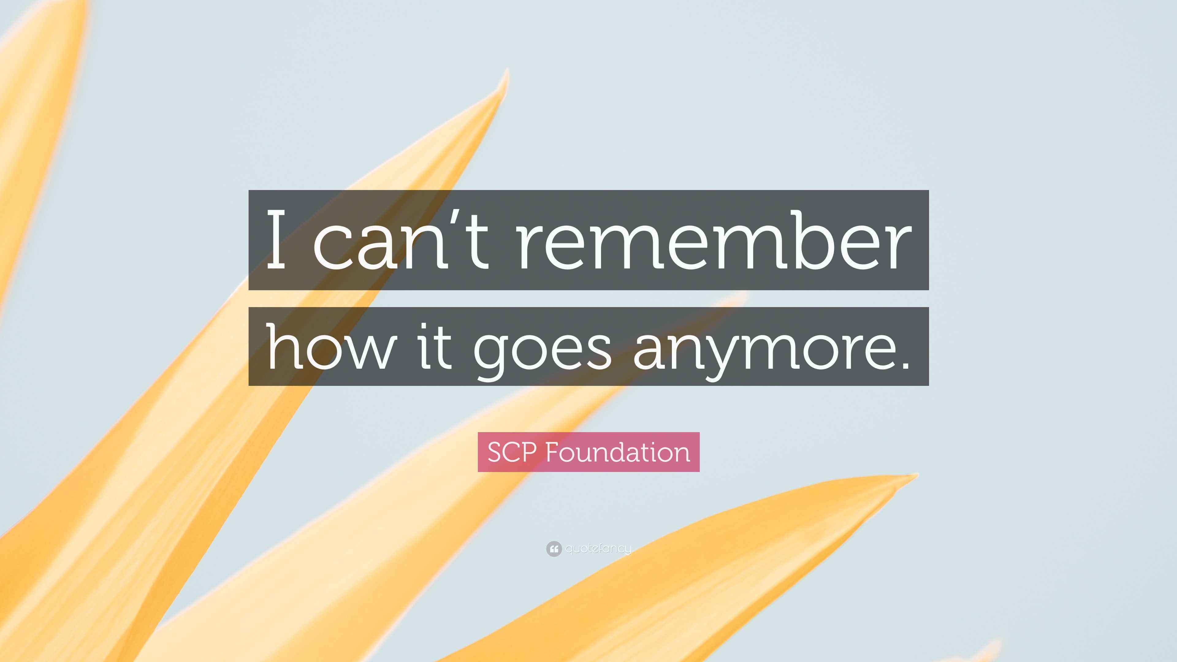 SCP Foundation Quote: “I can’t remember how it goes anymore.”