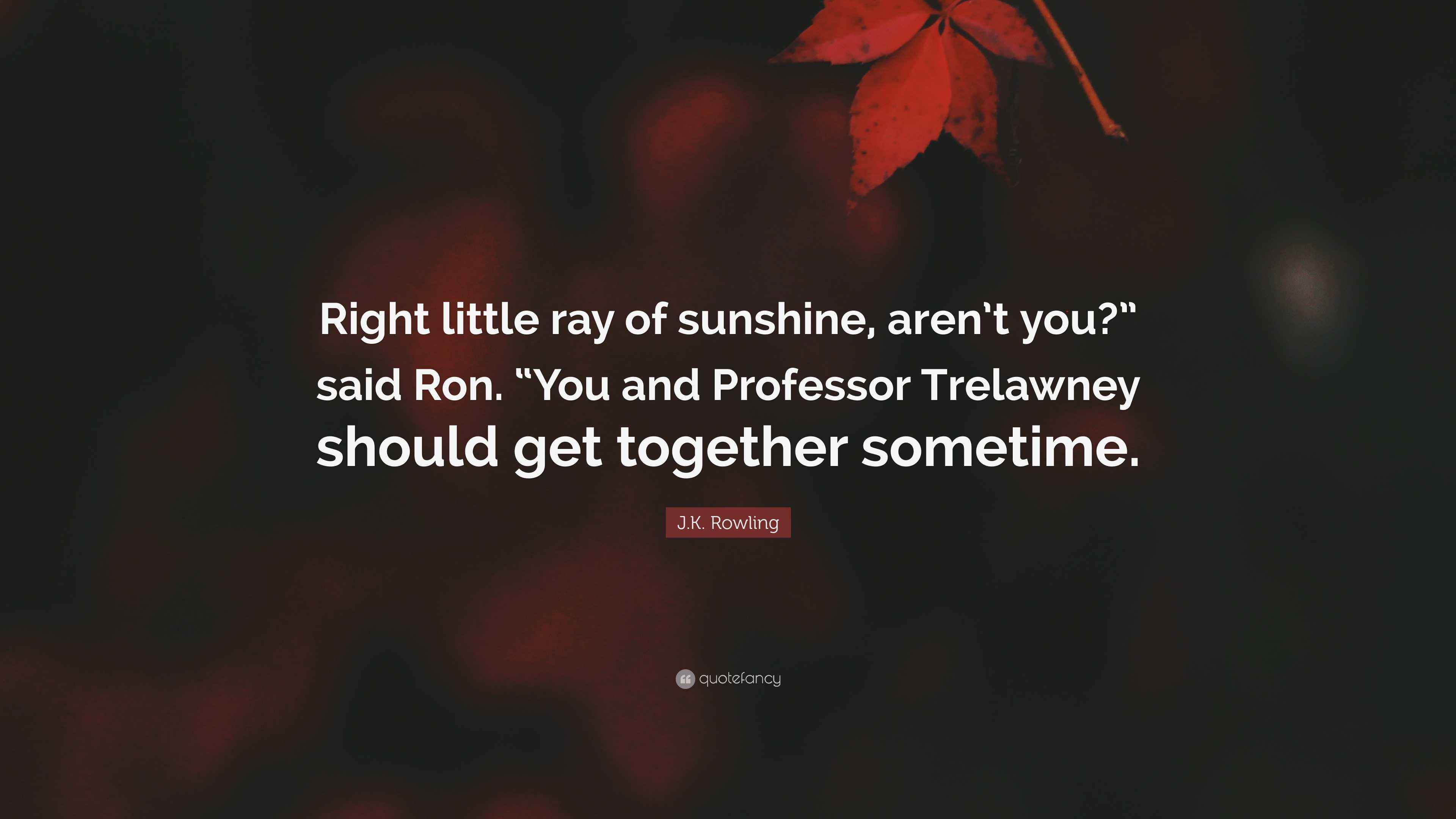 My Little Ray Of Sunshine Quotes Good Morning Everyone 🌟#motivation