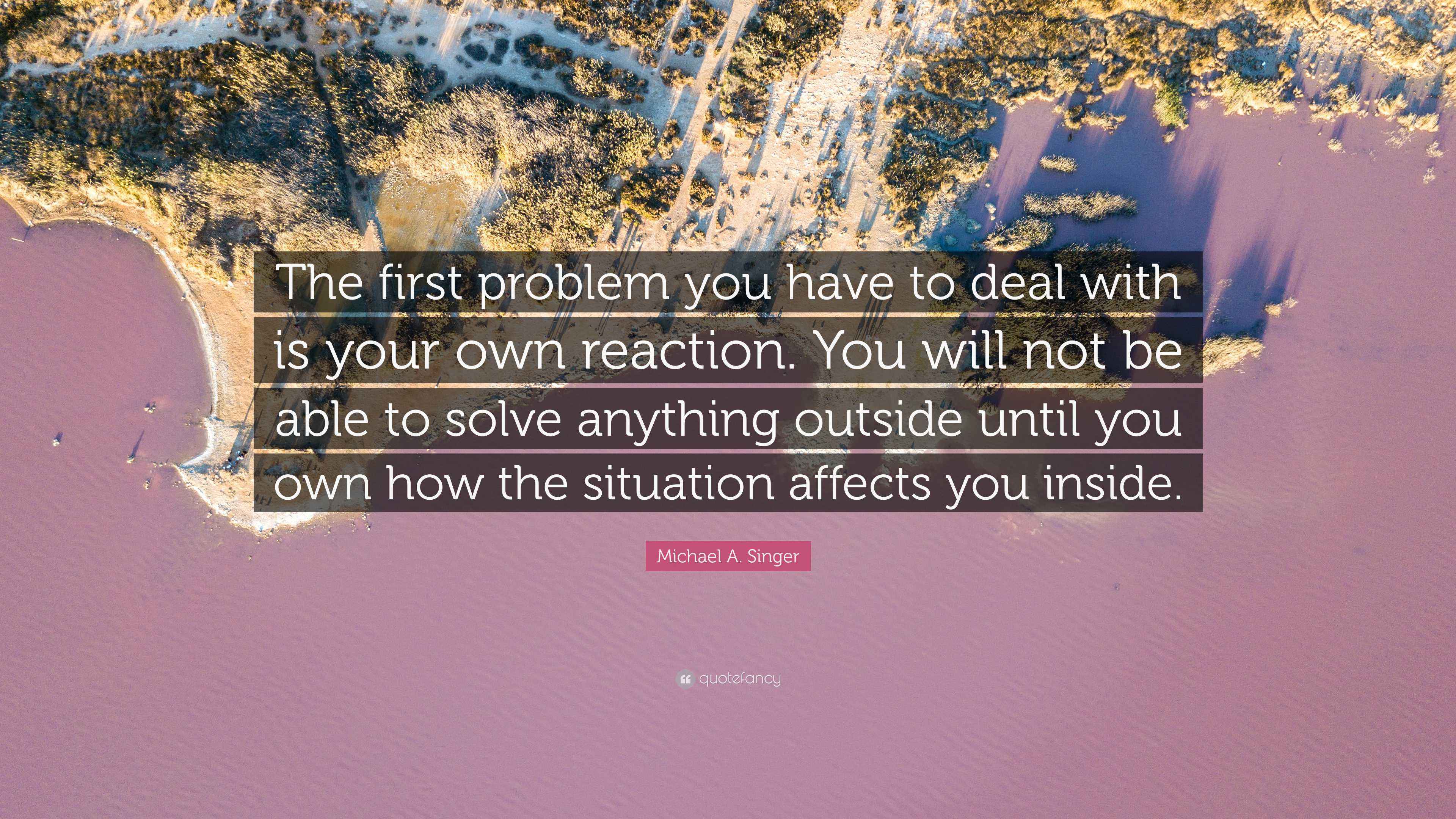 Michael A. Singer Quote: “The first problem you have to deal with is ...