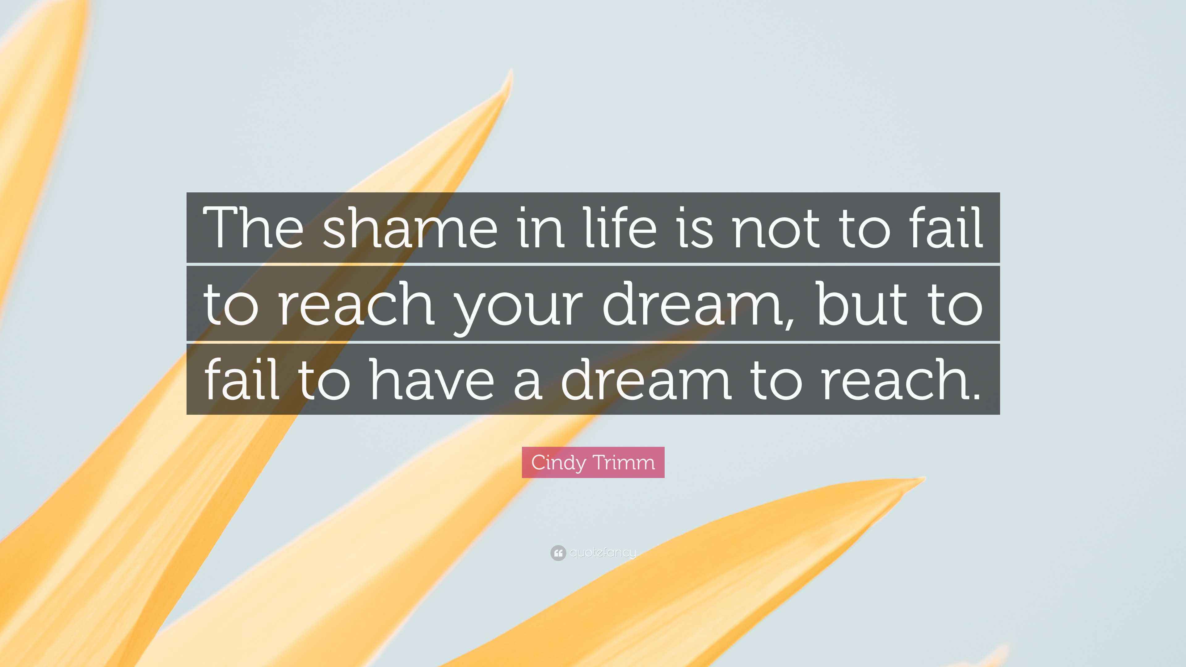 Cindy Trimm Quote: “The shame in life is not to fail to reach your ...
